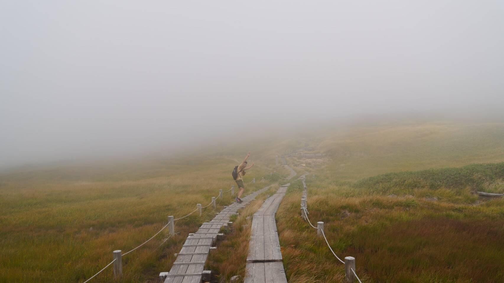 待てば楽園の苗場山 / OKBさんの苗場山・赤倉山・佐武流山の活動データ | YAMAP / ヤマップ