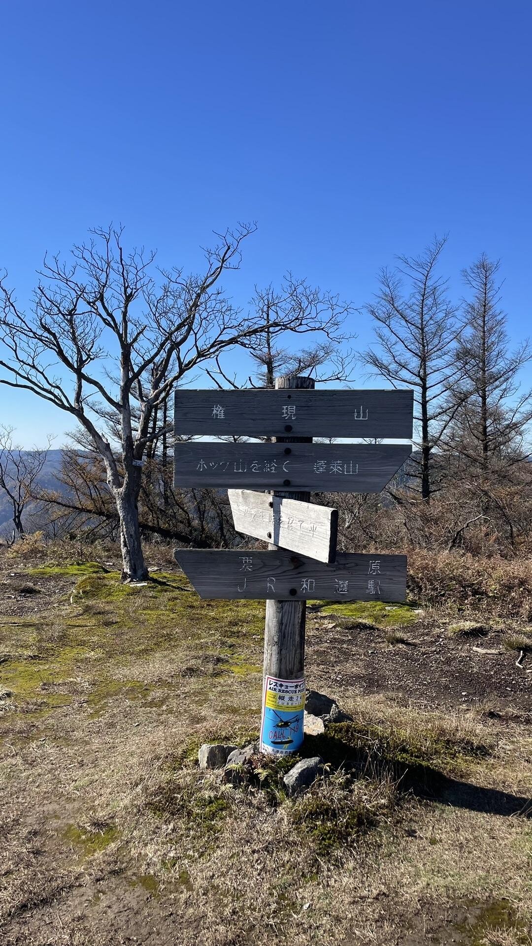 権現山・霊仙山 / mo moさんの比良山地・武奈ヶ岳・釈迦岳の活動データ | YAMAP / ヤマップ