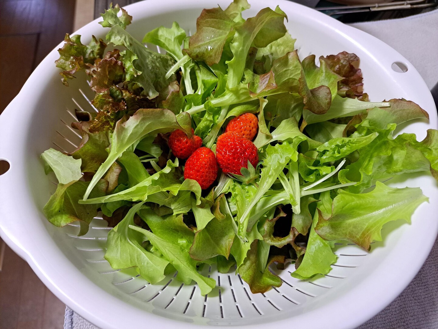 今日の収穫です。 これから気温が上がりそ... / 飼育員A子さんのモーメント | YAMAP / ヤマップ