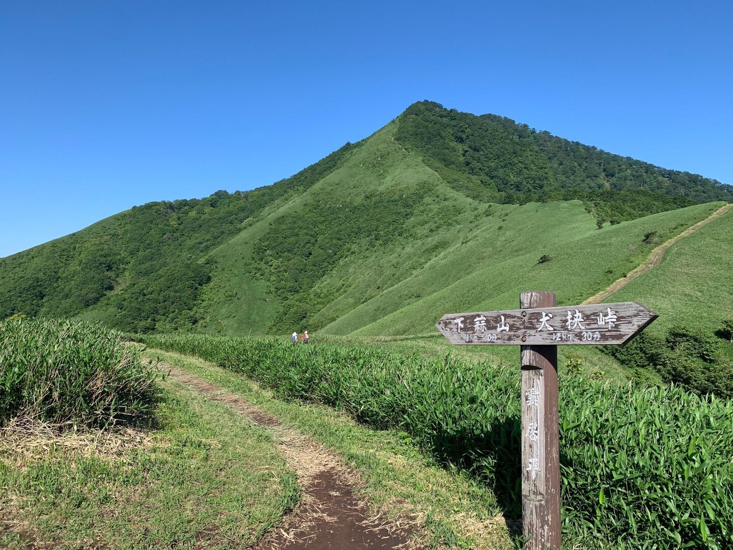 蒜山3座縦走🤩😤😫 / masaikeさんの蒜山の活動データ | YAMAP / ヤマップ