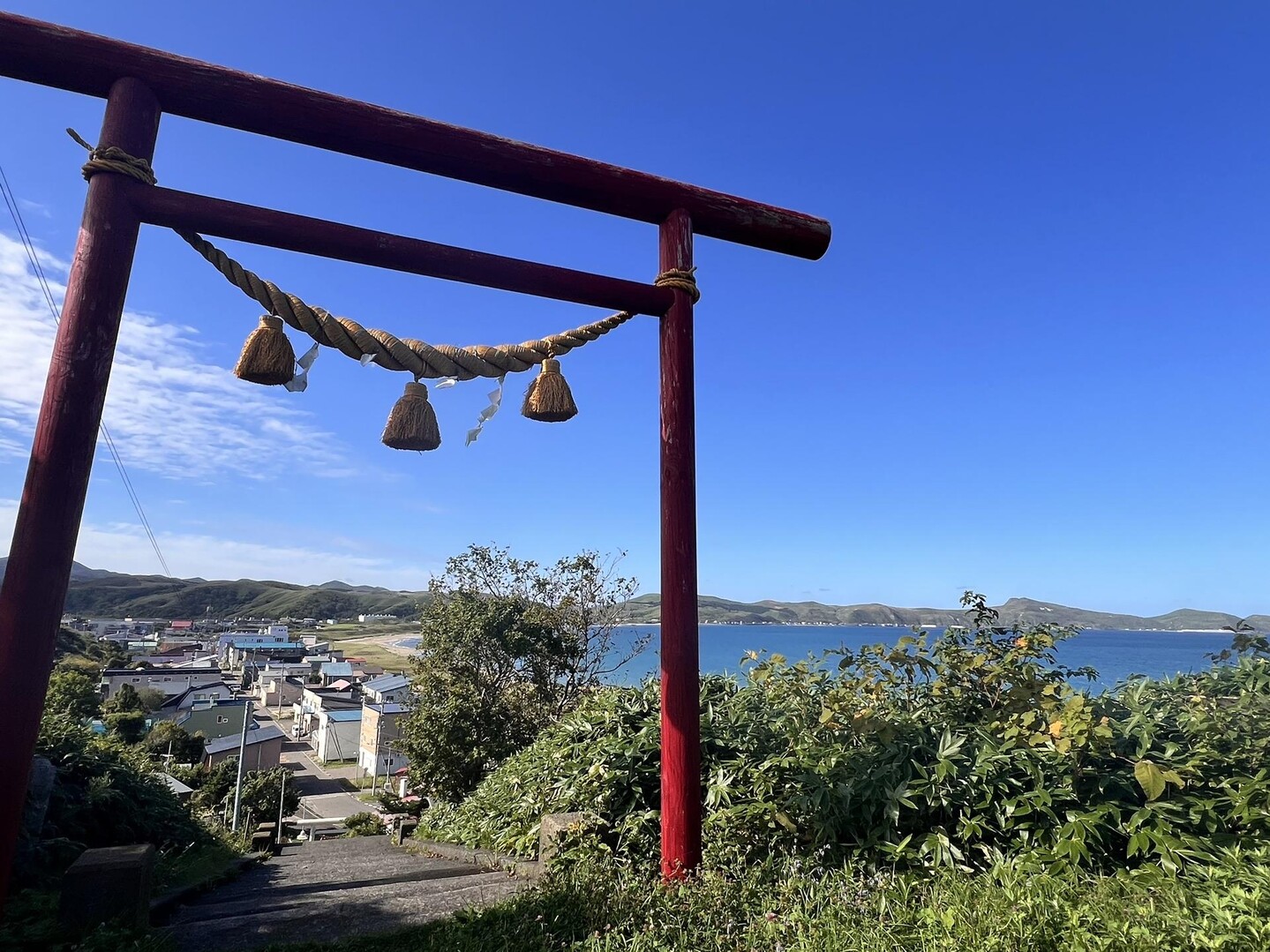 礼文島 東北端 朝RUN🏃‍♀️ / おはるさんの礼文島の活動データ | YAMAP / ヤマップ