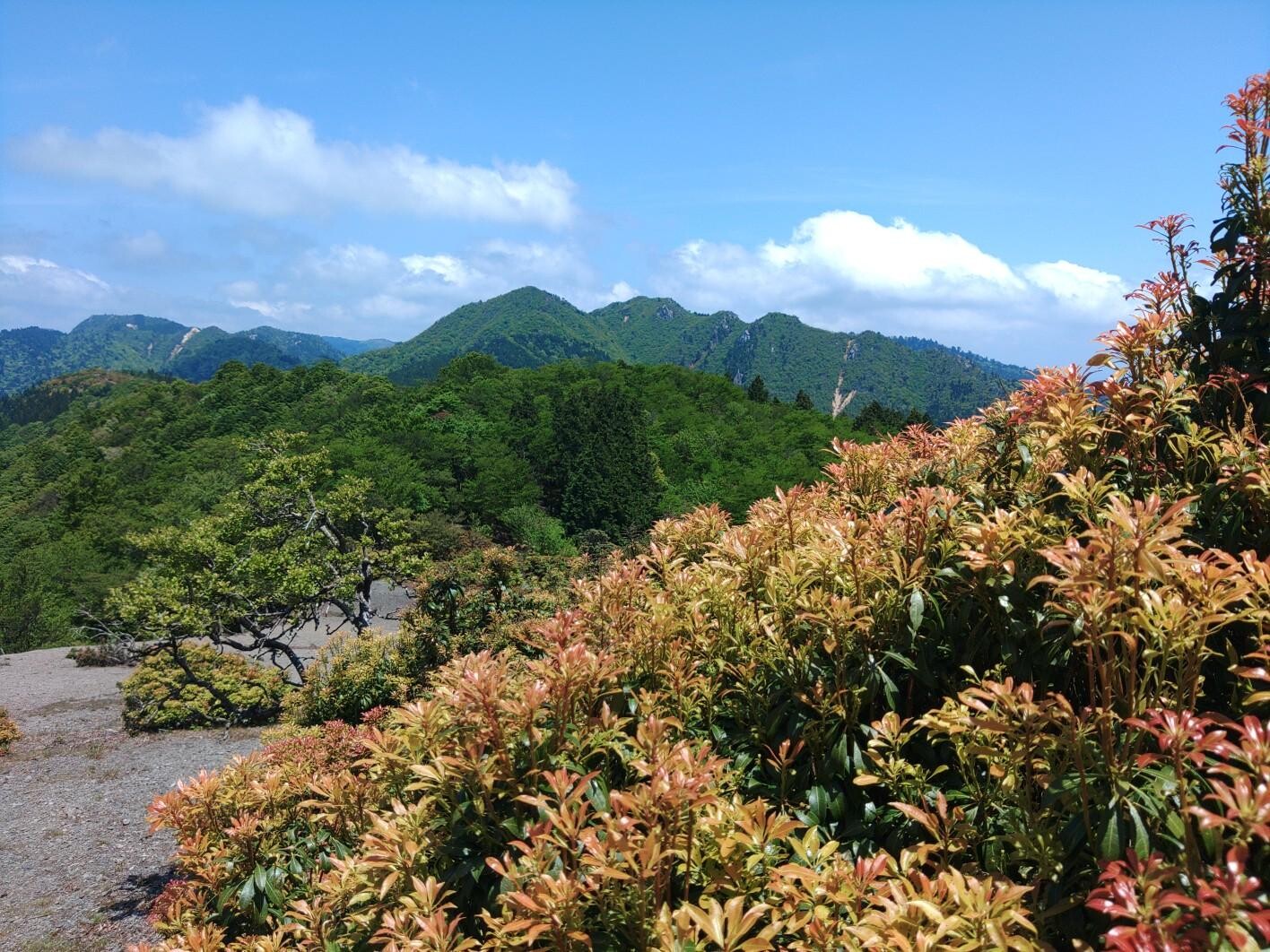 石水渓谷から仙ヶ岳周回 / kayoさんさんの入道ヶ岳・鎌ヶ岳・仙ヶ岳の活動データ | YAMAP / ヤマップ