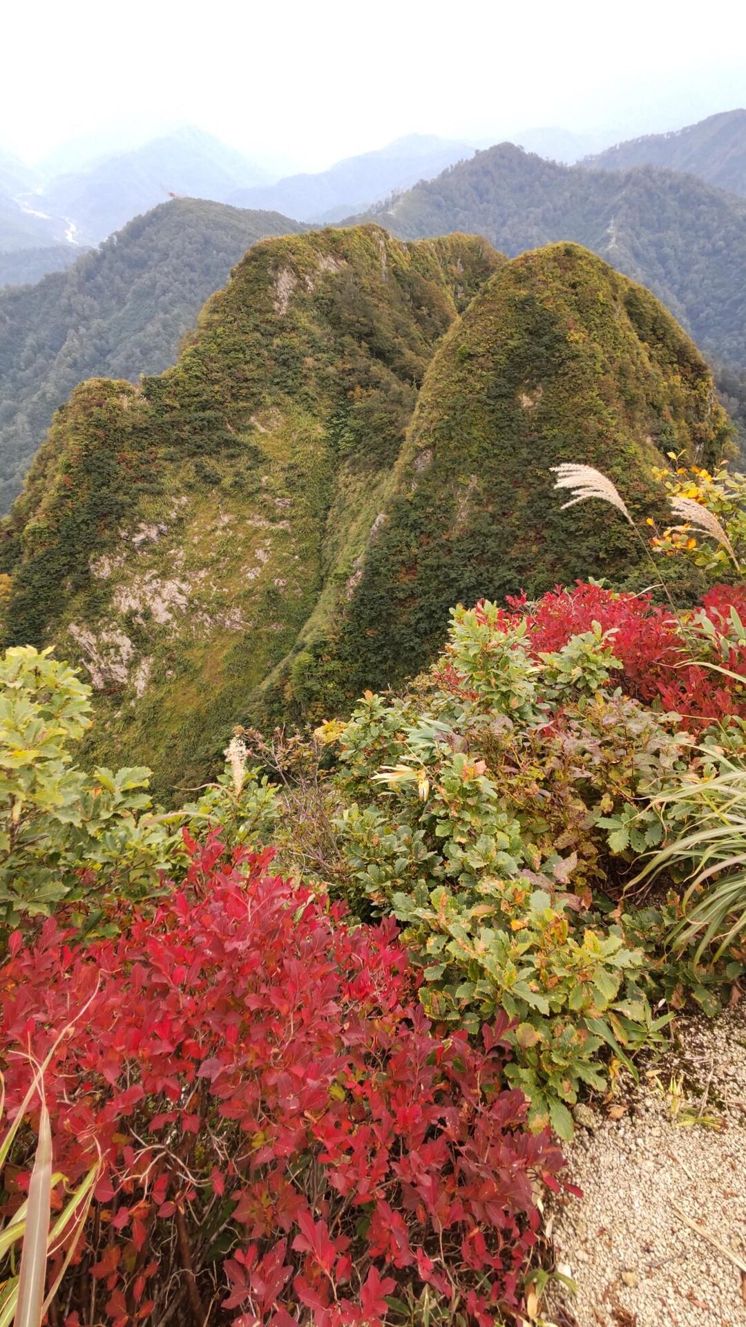 摩耶山 / zen sugiさんの摩耶山の活動日記 | YAMAP / ヤマップ