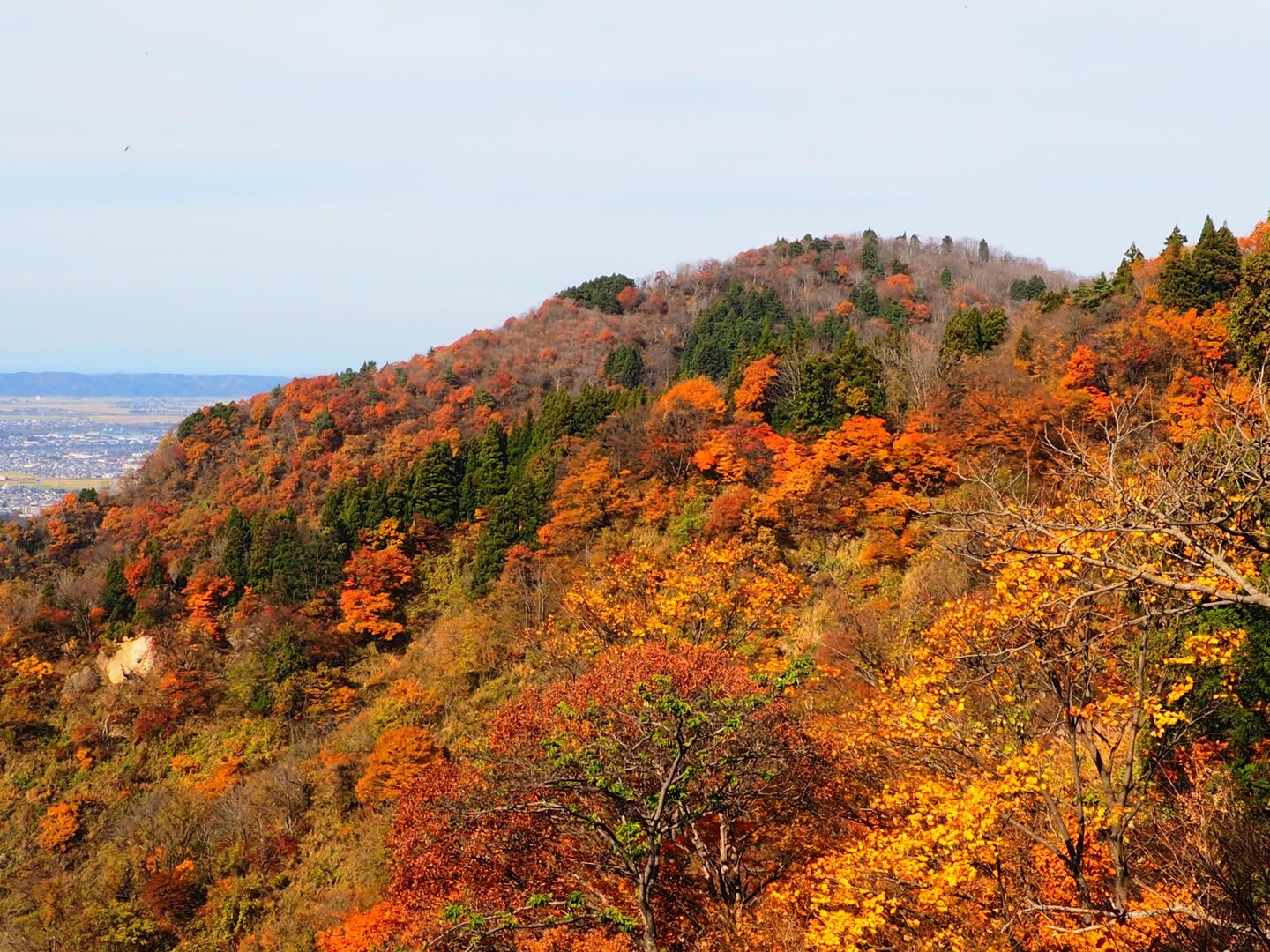 晩秋の里山もいいもんだ 鋸山 / 天ぷらケンジJyJyさんの鋸山・三ノ峠山・八方台の活動データ | YAMAP / ヤマップ