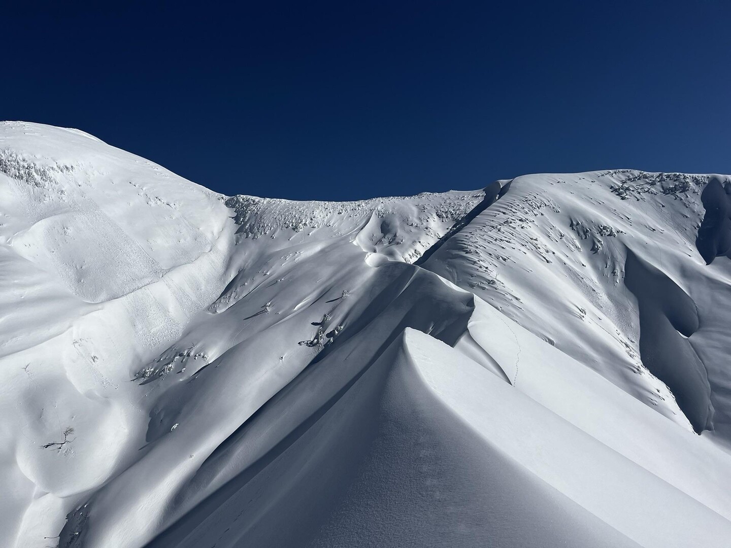 【粟ヶ岳】 雪山撤退記 / KOJIさんの粟ヶ岳・權ノ神岳・宝蔵山の活動日記 | YAMAP / ヤマップ