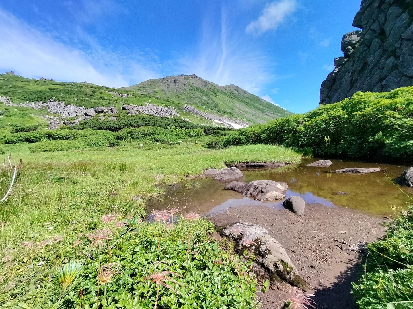 トムラウシ山 / ぴろこさんのGT3 2の活動データ | YAMAP / ヤマップ