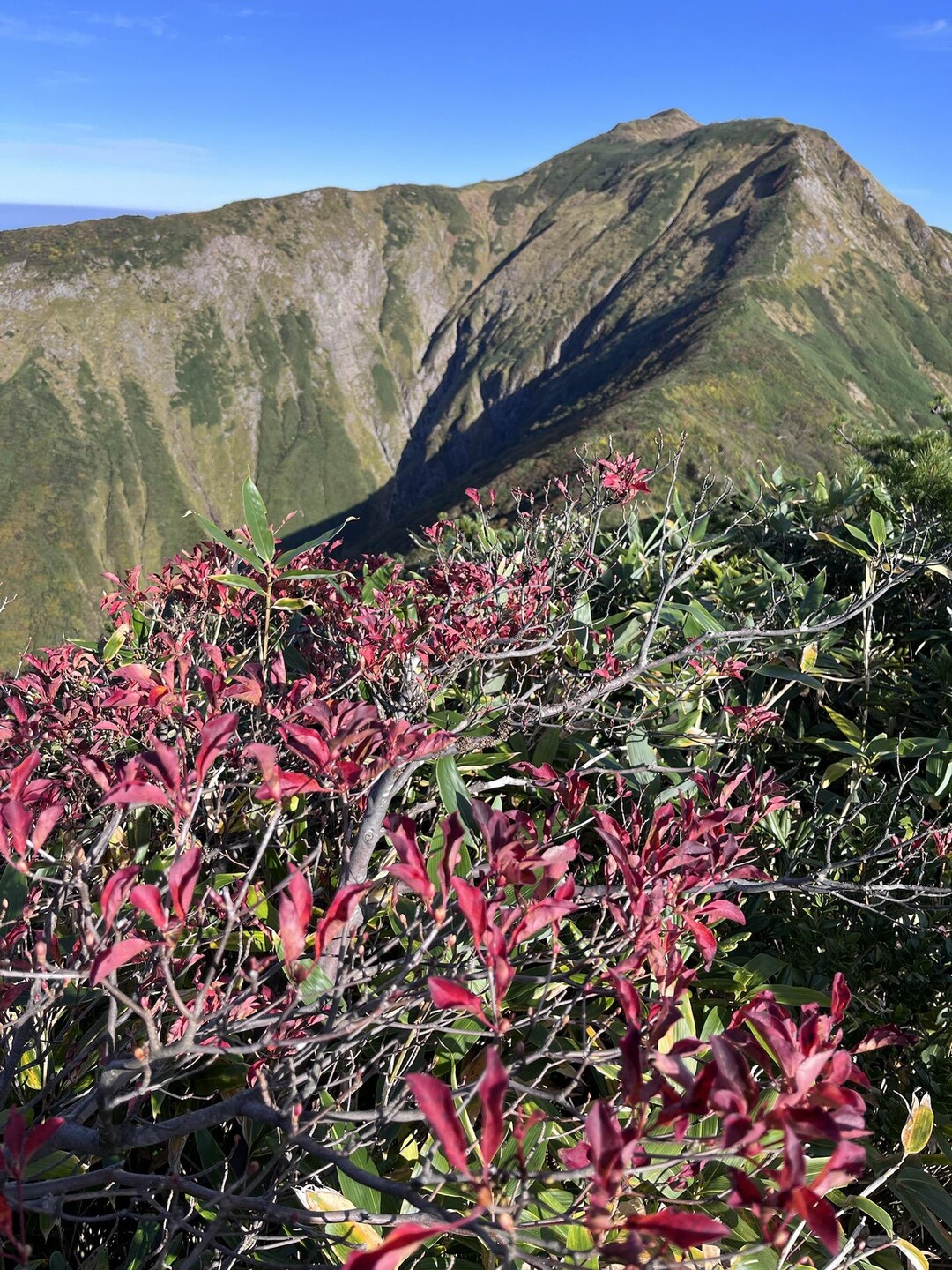 秋を確かめに表越後三山周回 / mierinさんの越後駒ヶ岳・八海山・中ノ岳の活動データ | YAMAP / ヤマップ
