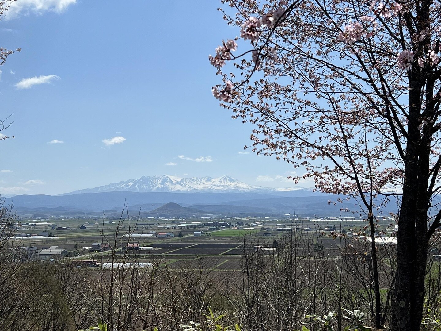 突哨山・村上山 / maya-mayaさんの突哨山の活動データ | YAMAP / ヤマップ