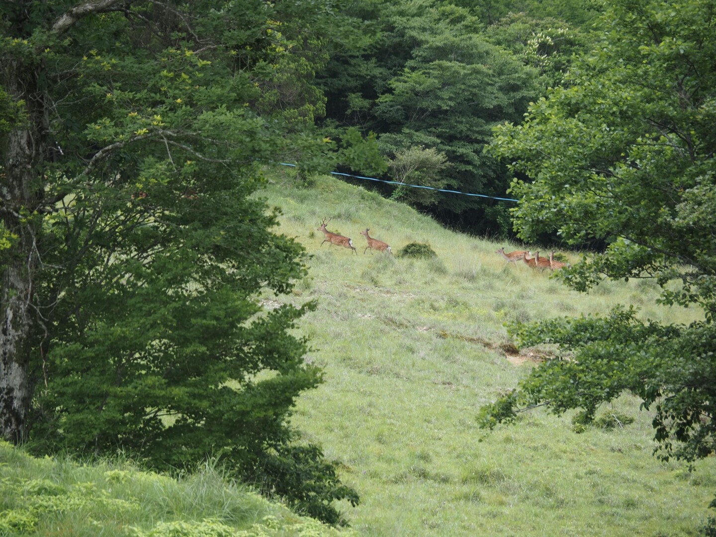 塔丸 / h3さんの剣山の活動データ | YAMAP / ヤマップ