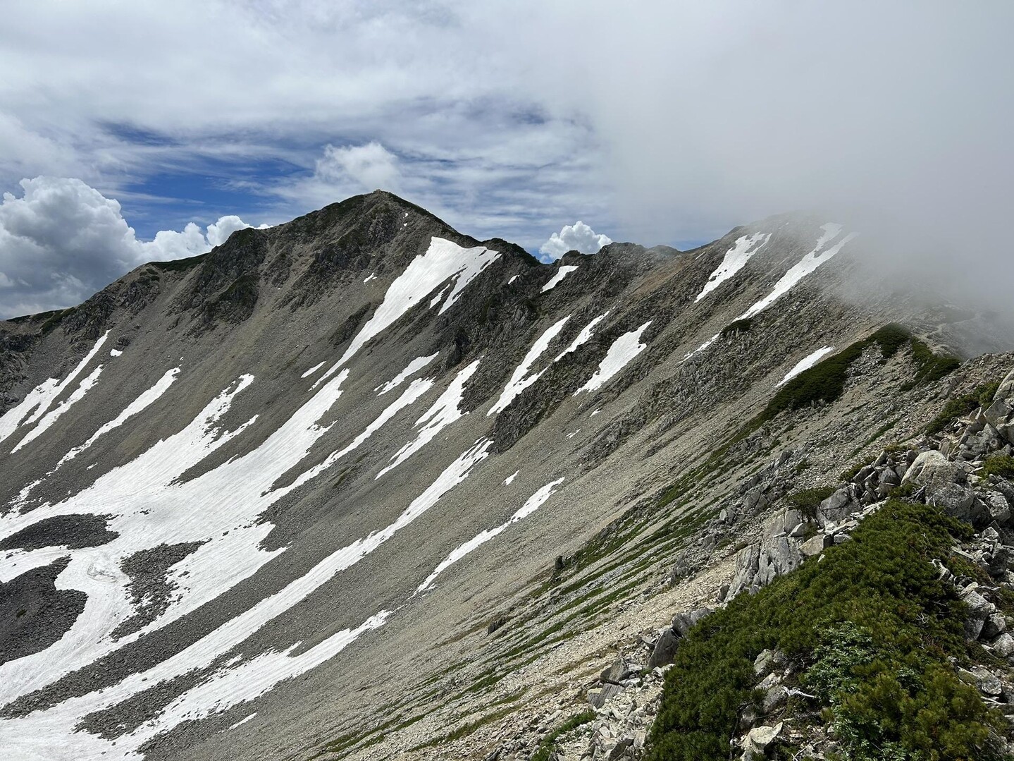 TJAR歩いてみた 6日目 スゴ乗越〜薬師岳〜太郎平小屋 / なゆさんの水晶岳・薬師岳・黒部五郎岳の活動データ | YAMAP / ヤマップ
