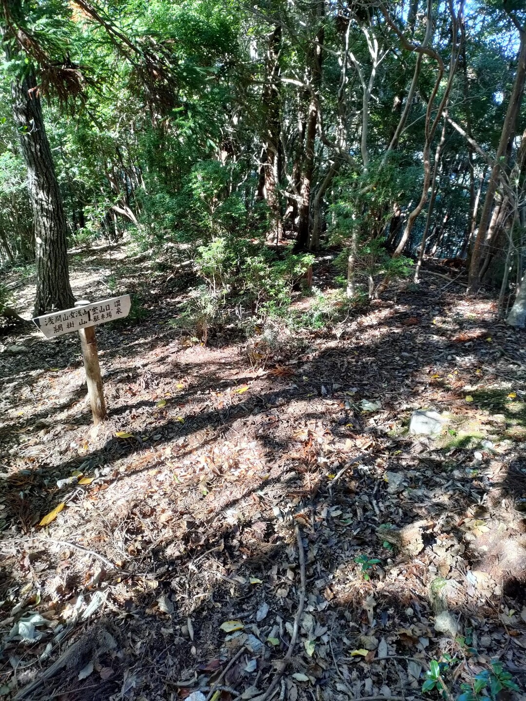 koiさんの投稿したフィールドメモ | YAMAP / ヤマップ