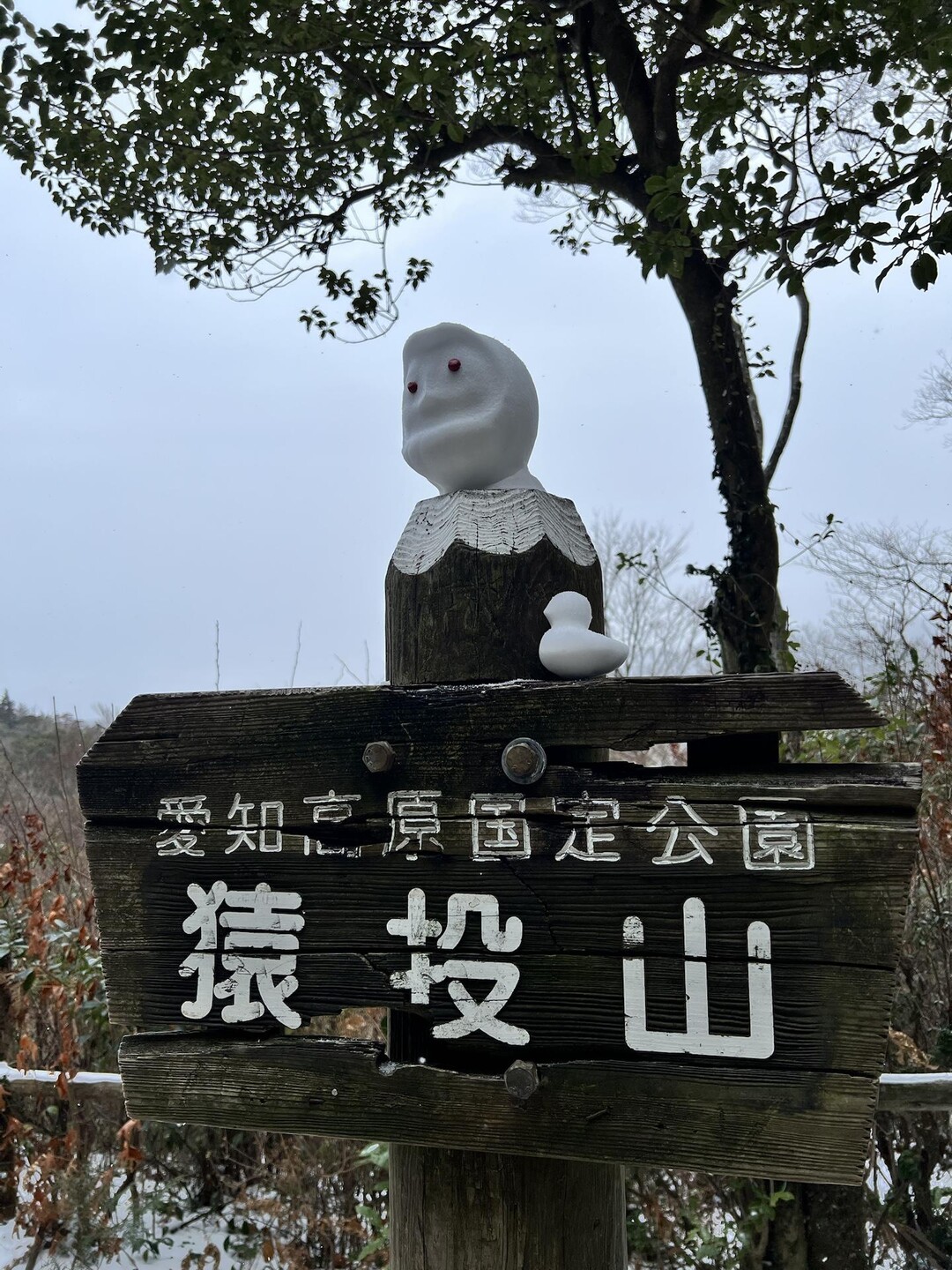 2025スタート_猿投山 / yoshi_gさんの猿投山・物見山の活動データ | YAMAP / ヤマップ