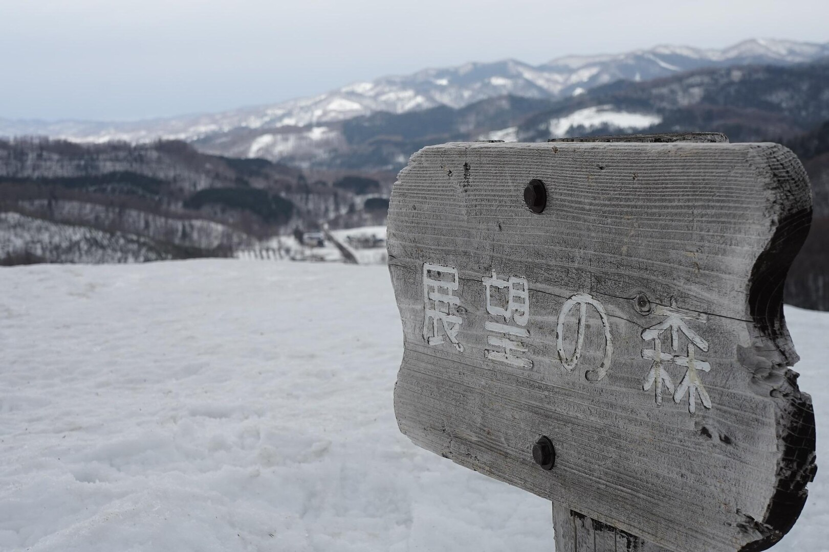 万字ズリ山 ️1️⃣1️⃣明日はホワイトデー💕 / mii500さんの幌向岳・ズリ山の活動データ | YAMAP / ヤマップ