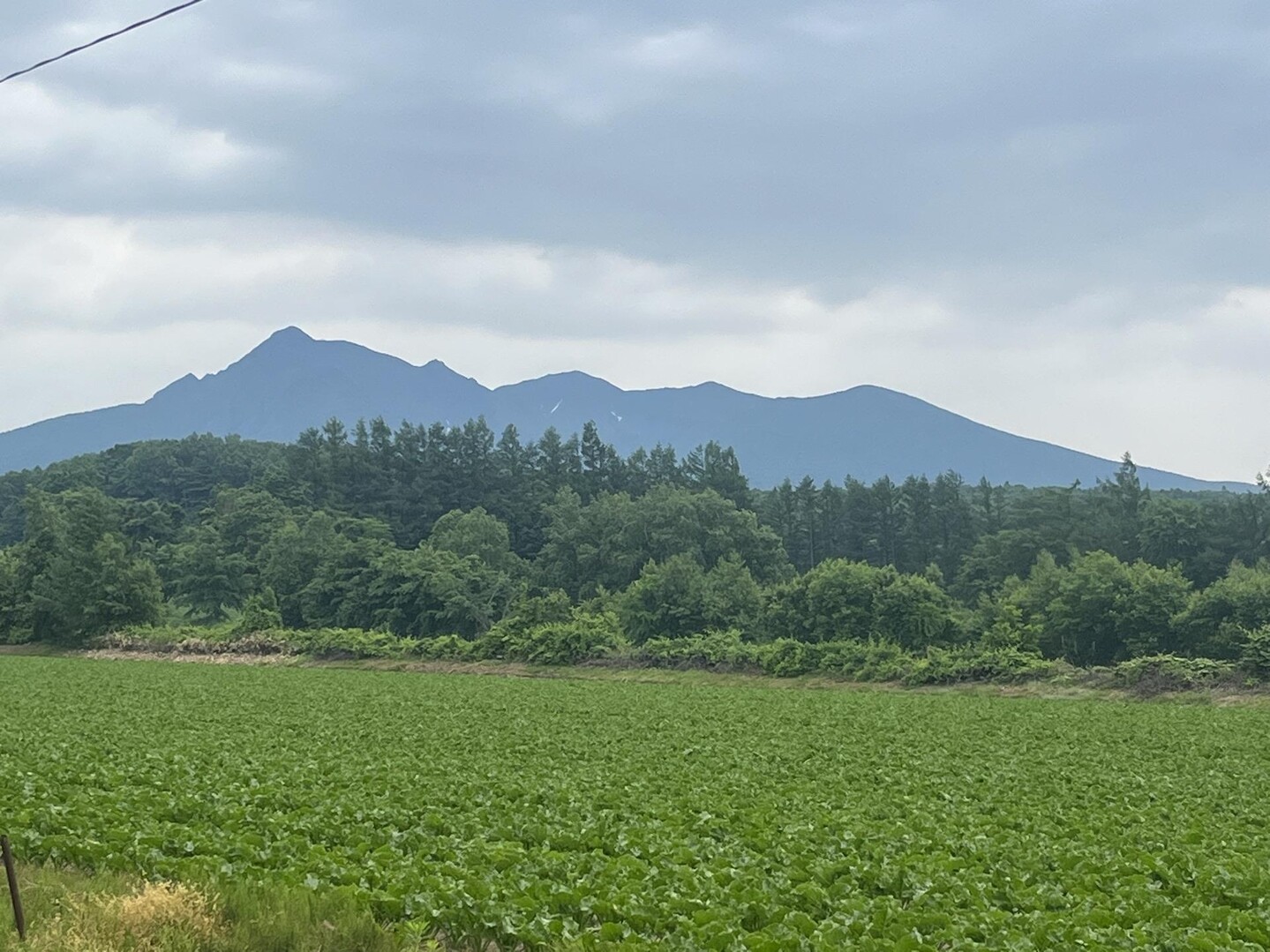 正解♫Day 4 1st 斜里岳-2023-06-17 / タカーニョさんの斜里岳の活動データ | YAMAP / ヤマップ