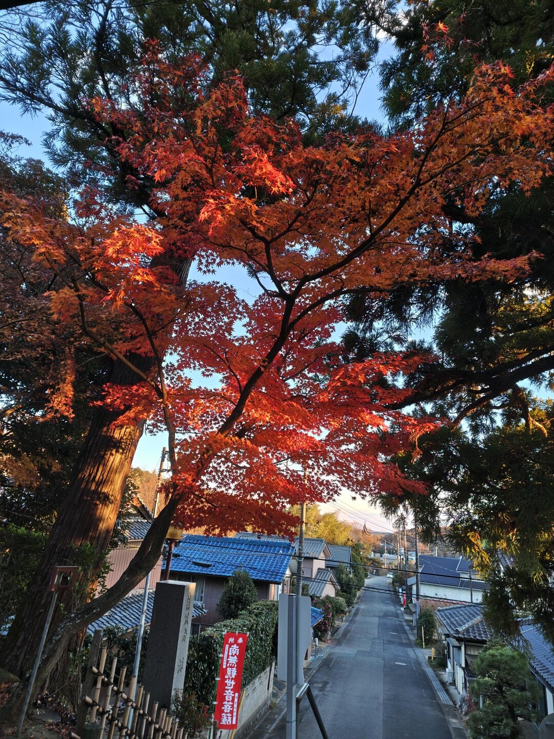 ポンポン山 / kaneさんの熊谷市の活動データ | YAMAP / ヤマップ