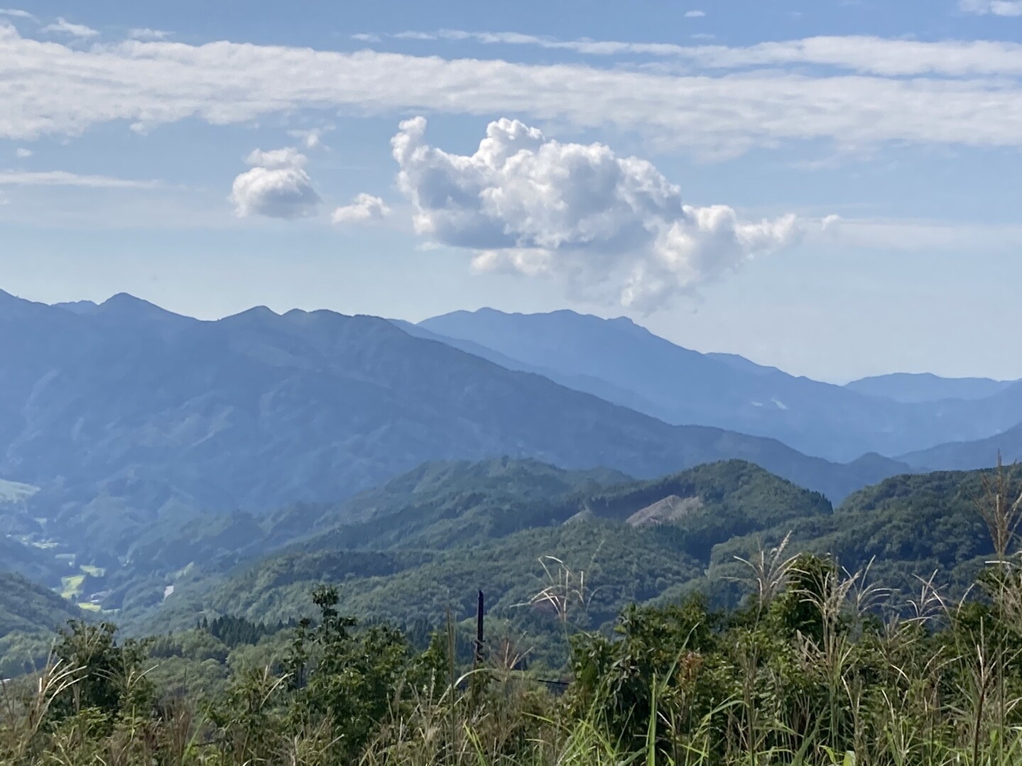 高清水高原・大畝山・御林山・霧ヶ原・伯州山 / morryさんの伯州山・霧ヶ原の活動データ | YAMAP / ヤマップ