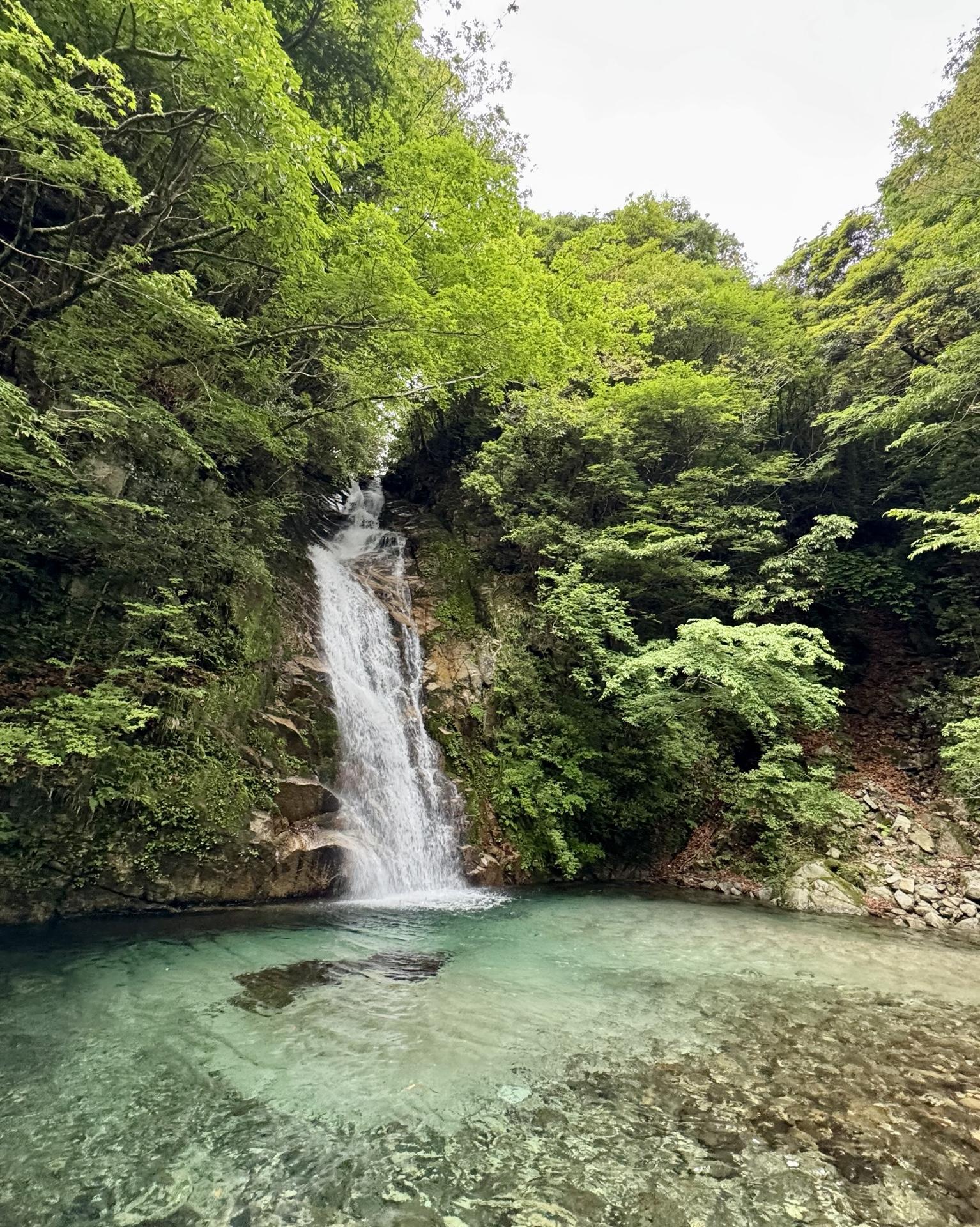 竜ヶ岳 石榑峠〜中道 / Bobさんの竜ヶ岳の活動データ | YAMAP / ヤマップ