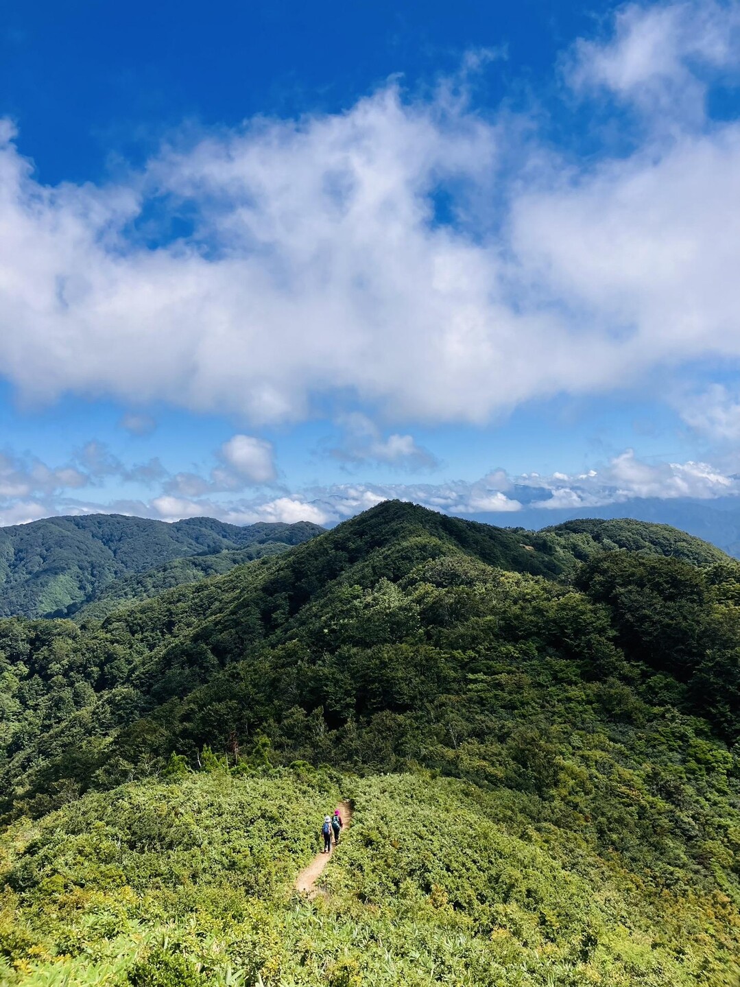 三ノ峰・二ノ峰・一ノ峰・前一ノ峰・五頭山 / ark-kさんの五頭山・菱ヶ岳・宝珠山の活動日記 | YAMAP / ヤマップ