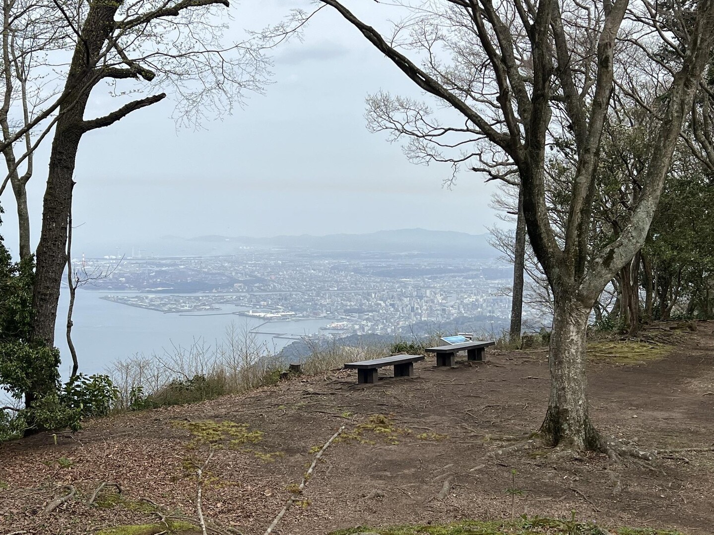 高崎山へ後半 海抜0mから再び山頂へ / やまざる🐒カズ🐒さんの高崎山の活動データ | YAMAP / ヤマップ
