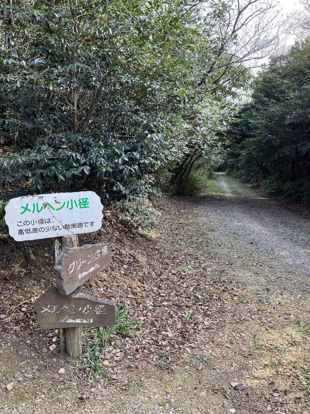 檜原公園TR / いーさんさんのウォーキングの活動データ | YAMAP / ヤマップ