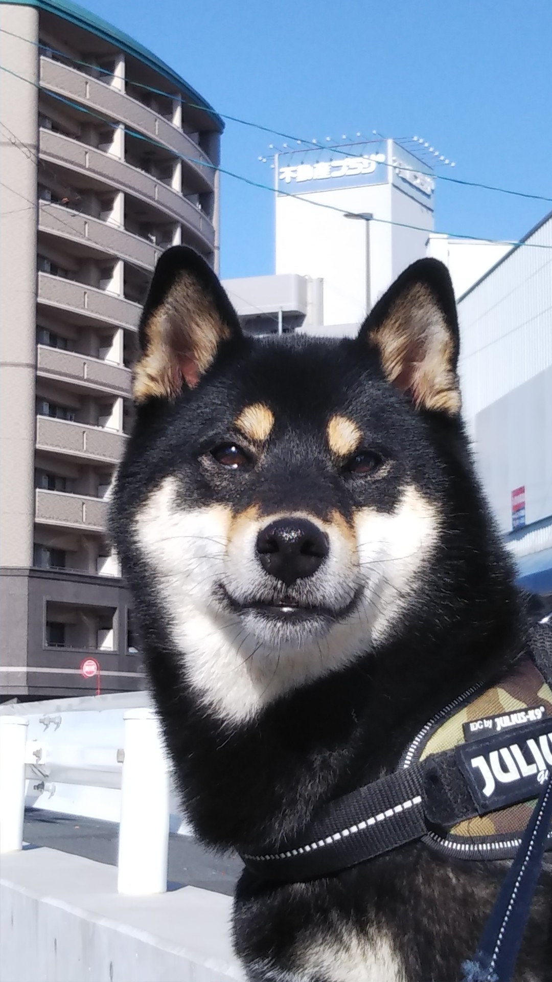 シーバyamatoがフォローしているユーザー一覧 | YAMAP / ヤマップ