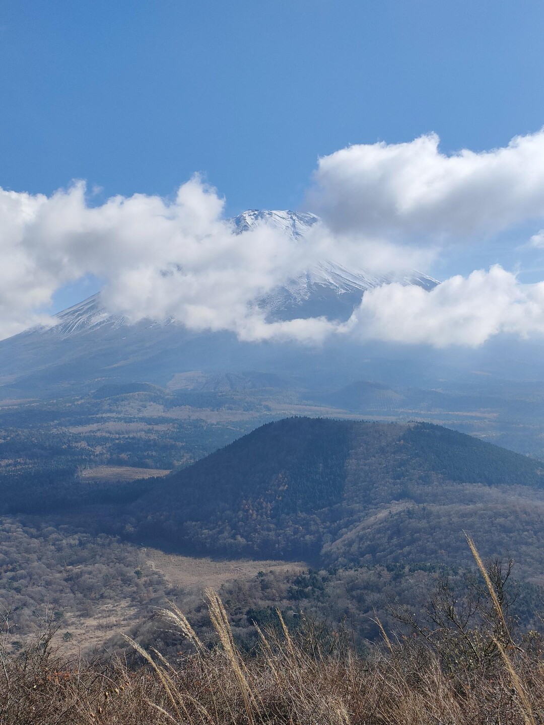 神座山・大室山・大室山南峰 / 19751128さんの富士山の活動データ | YAMAP / ヤマップ