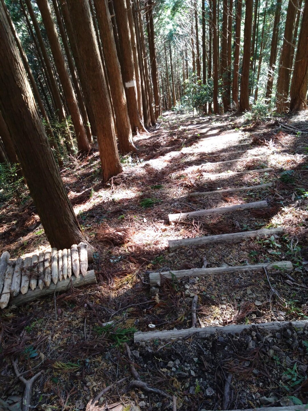 岳山ピストン/タイムトライアル / kaji12さんの粟ヶ岳の活動データ | YAMAP / ヤマップ