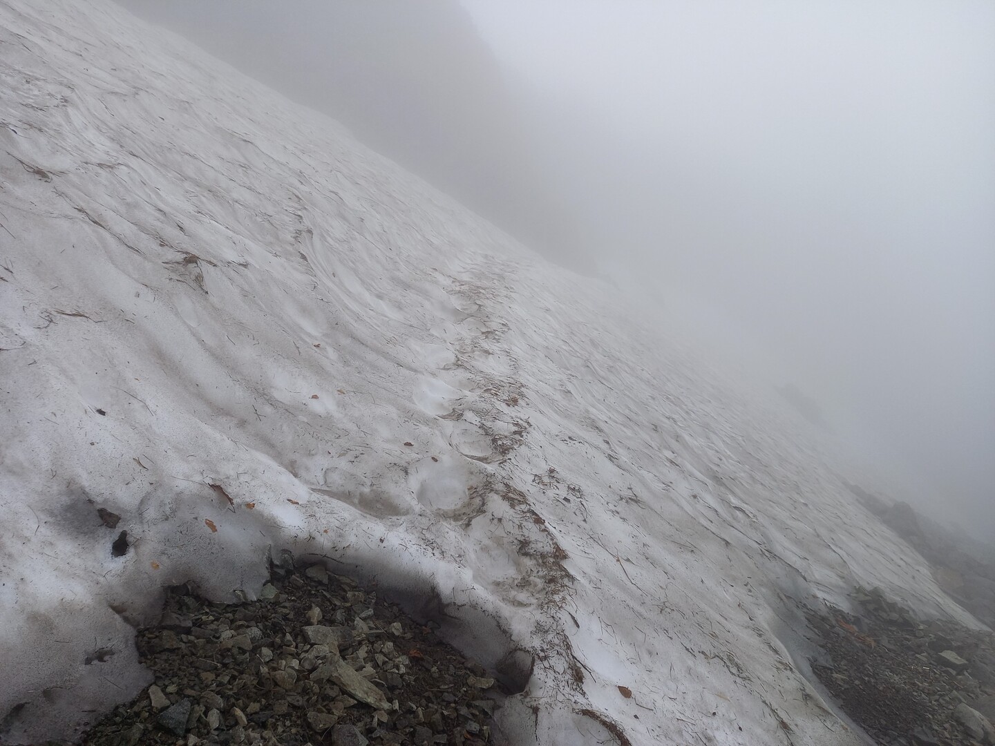 UDさんの投稿したフィールドメモ | YAMAP / ヤマップ