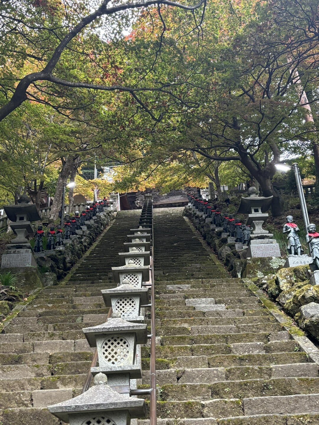 二ノ沢ノ頭・鍵掛・矢草ノ頭・大山 / fujitakさんの大山の活動データ | YAMAP / ヤマップ