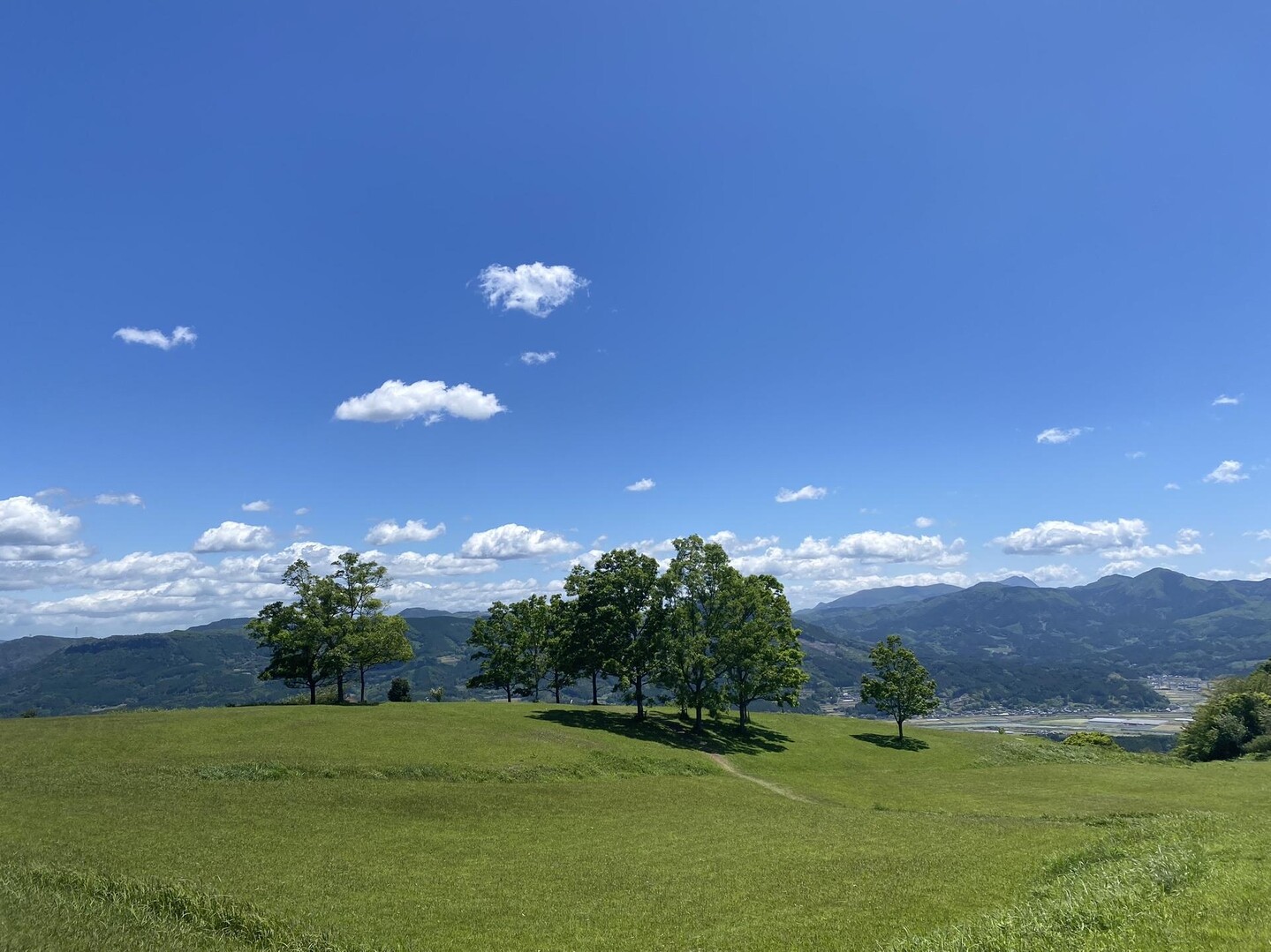 伐株山 / kayoさんの万年山・伐株山の活動データ | YAMAP / ヤマップ