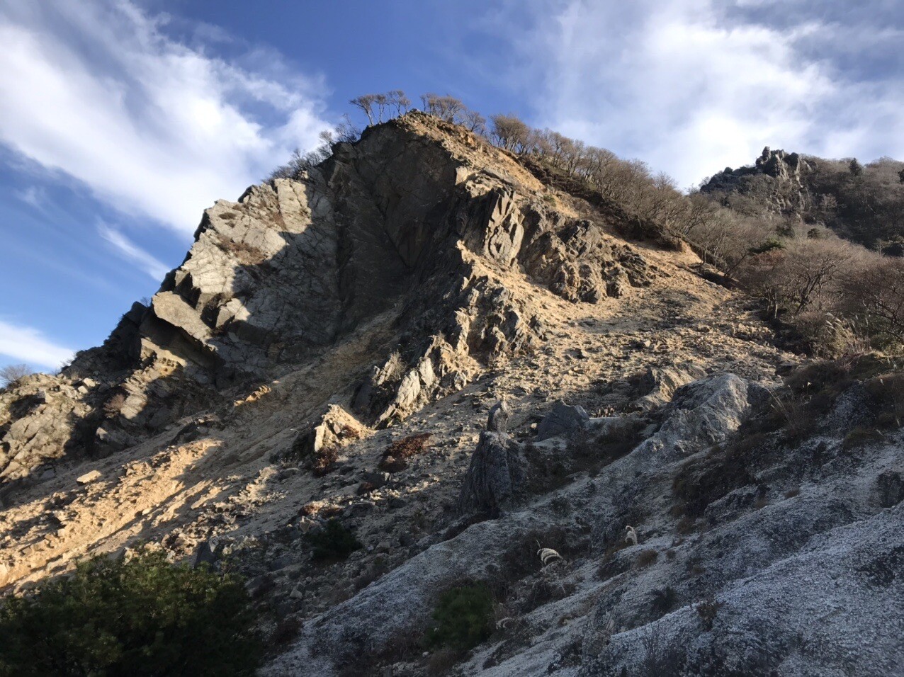 三ツ口谷 三ツ口尾根（日陰尾根）周回 / Joy Rさんの登山の活動データ | YAMAP / ヤマップ