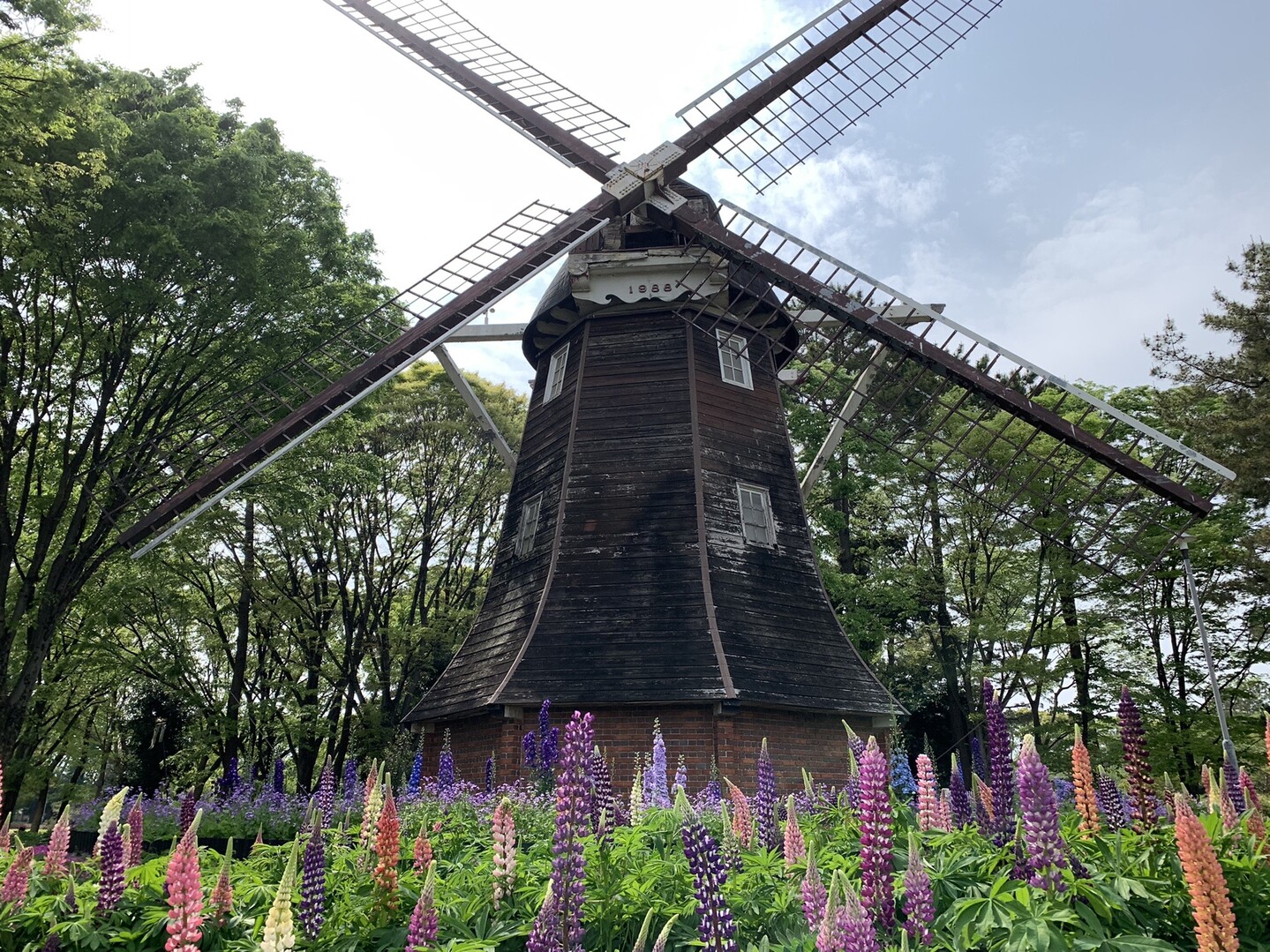 名城公園にて散歩🚶‍♀️ 藤棚が見頃で... / tsさんのモーメント | YAMAP / ヤマップ