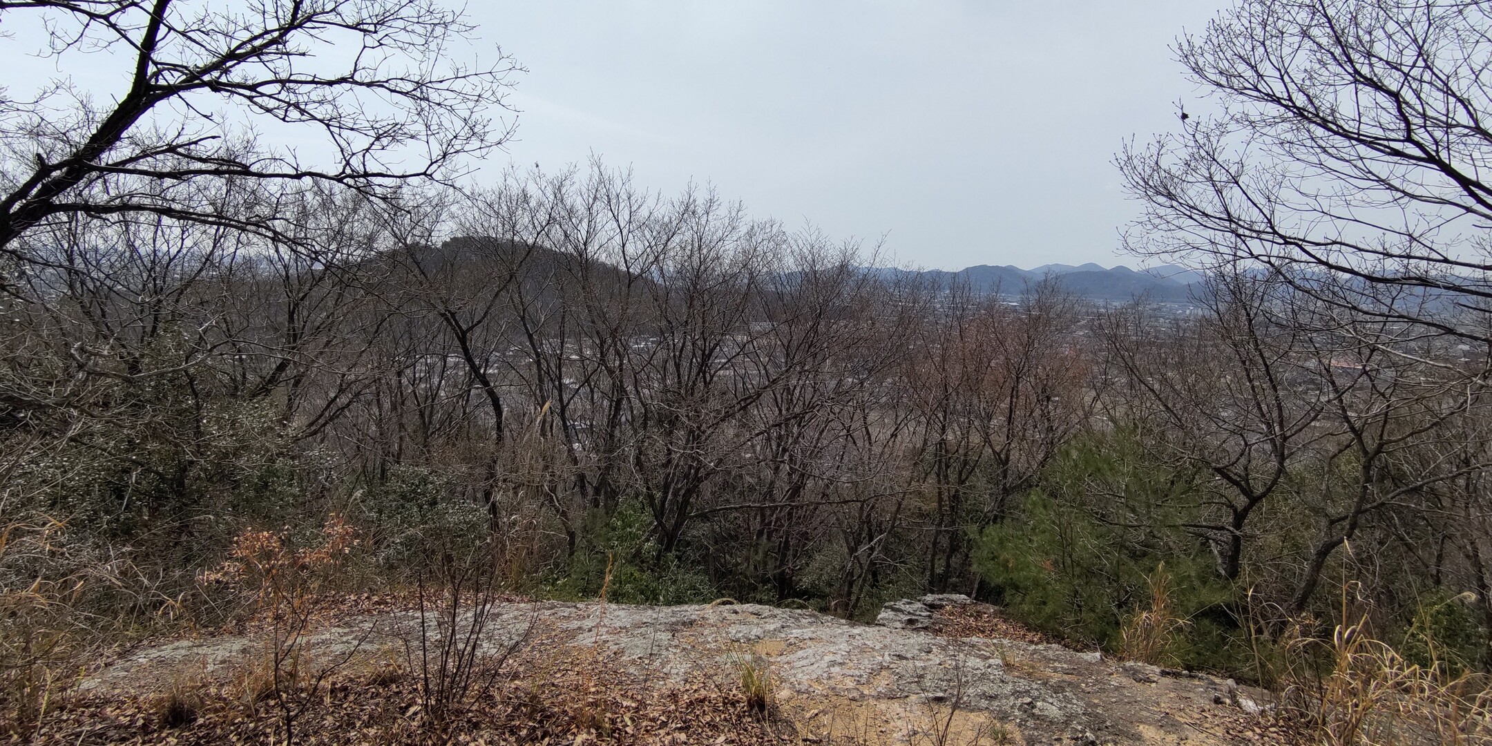 まめこさんの投稿したフィールドメモ | YAMAP / ヤマップ