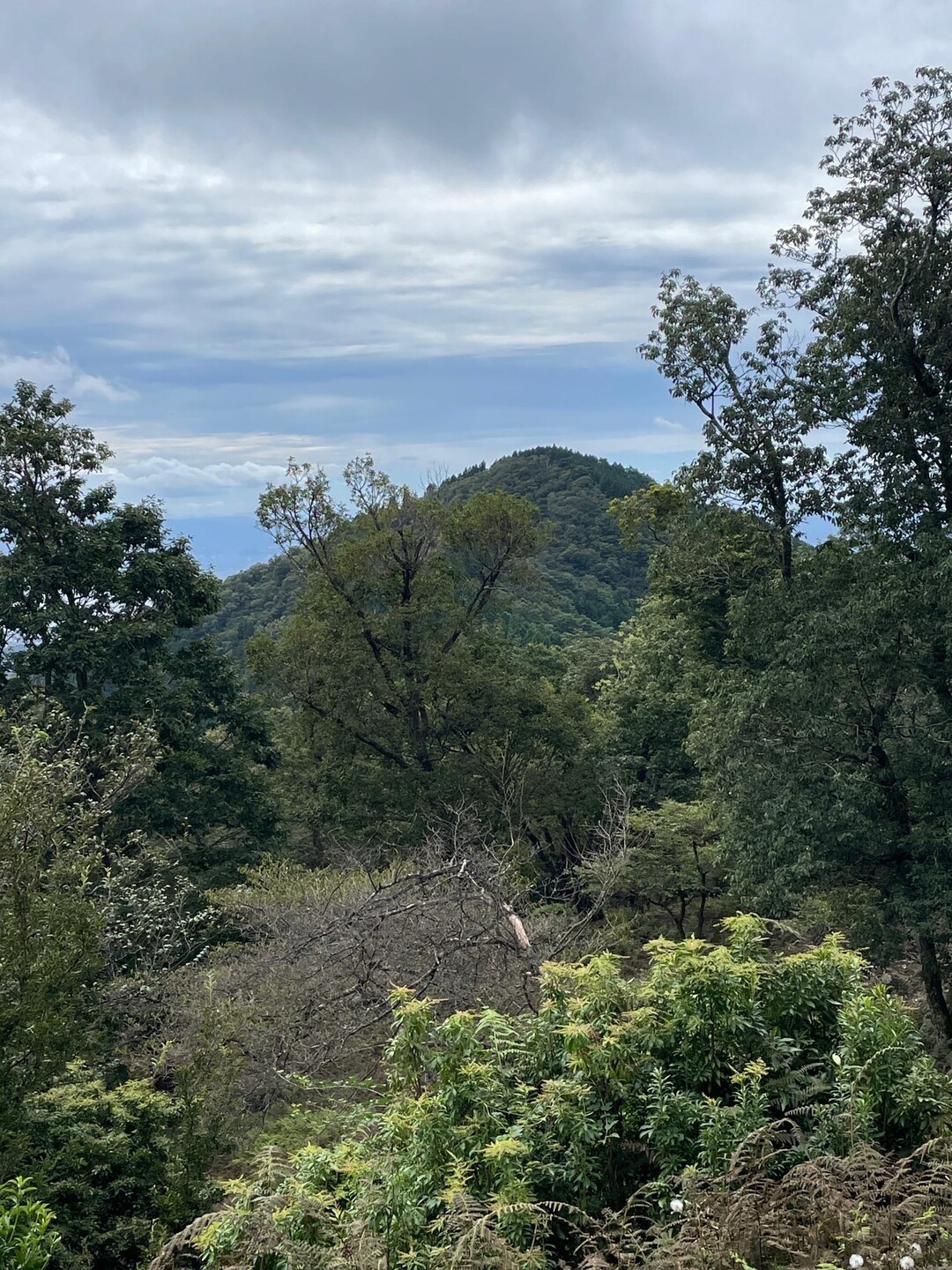 霊仙山 / golfbakaさんの比良山地・武奈ヶ岳・釈迦岳の活動日記 | YAMAP / ヤマップ