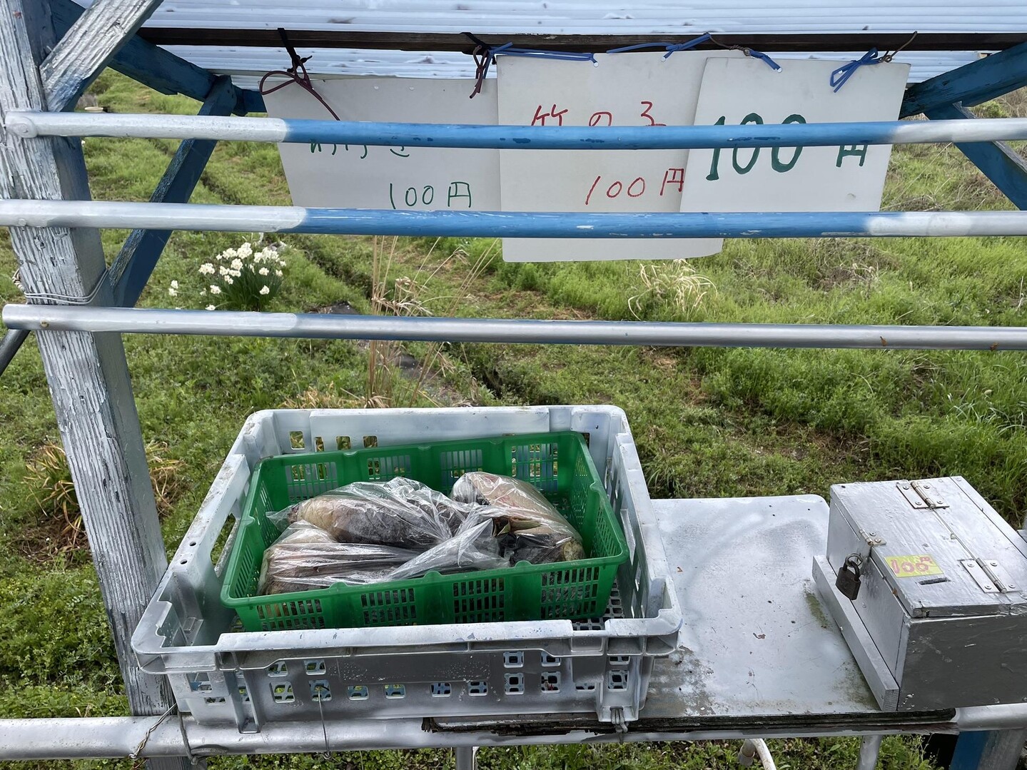 朝から、天気がイマイチなので、山には行け... / osamさんのモーメント | YAMAP / ヤマップ