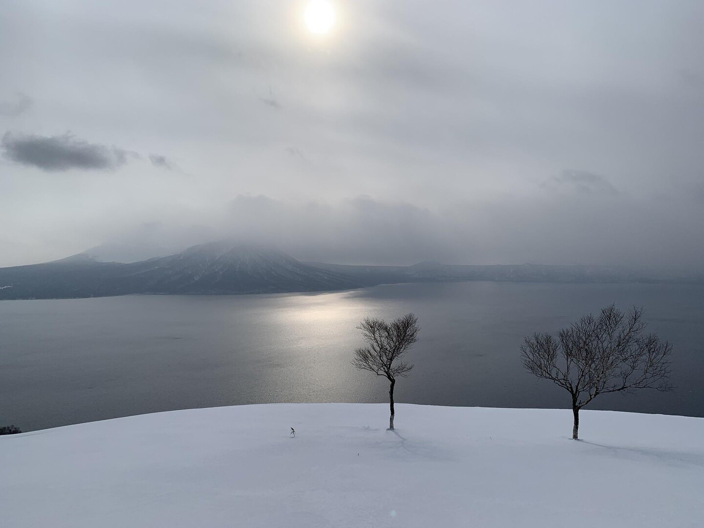 幌下山 / よっちゃんさんの紋別岳(千歳市)の活動日記 | YAMAP / ヤマップ