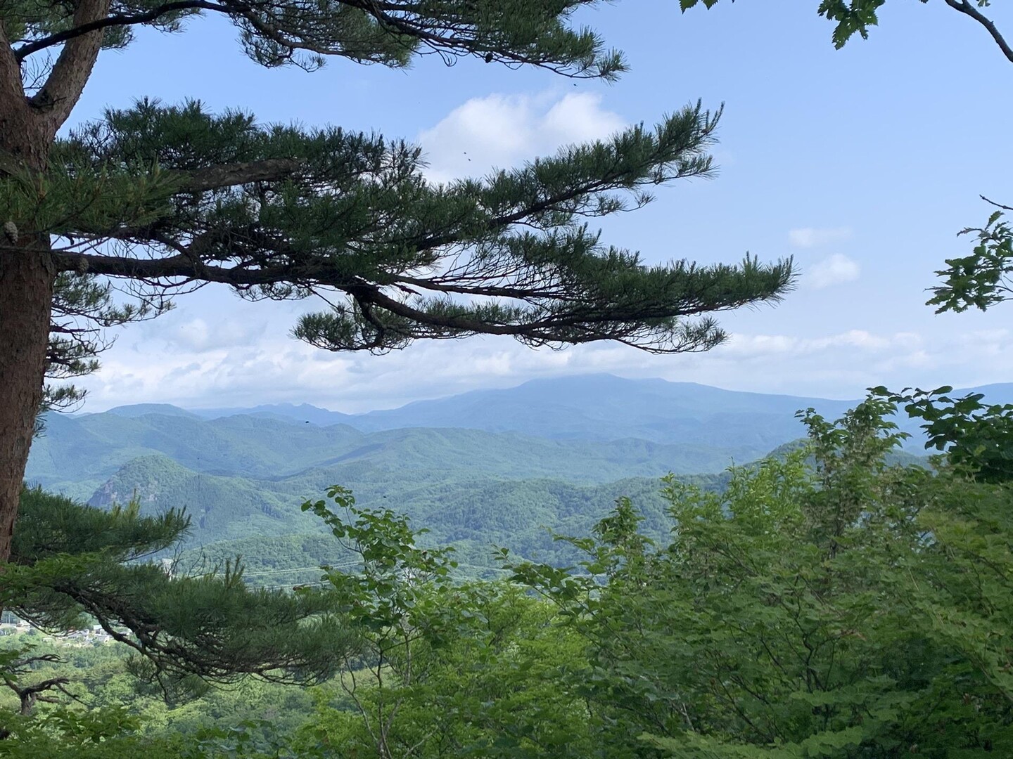 R5.6.10 戸神山・女戸神山 / あおかつさんの戸神山の活動データ | YAMAP / ヤマップ