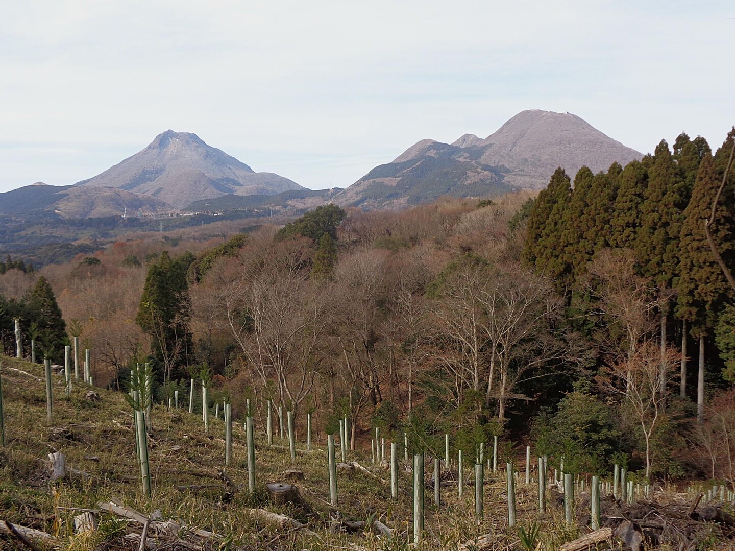 想定外だった東山ハイキング / al (アル)さんの小鹿山の活動データ | YAMAP / ヤマップ