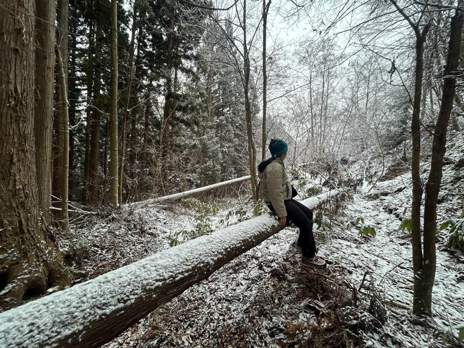 寺館山 / akoさんの名久井岳 の活動データ | YAMAP / ヤマップ