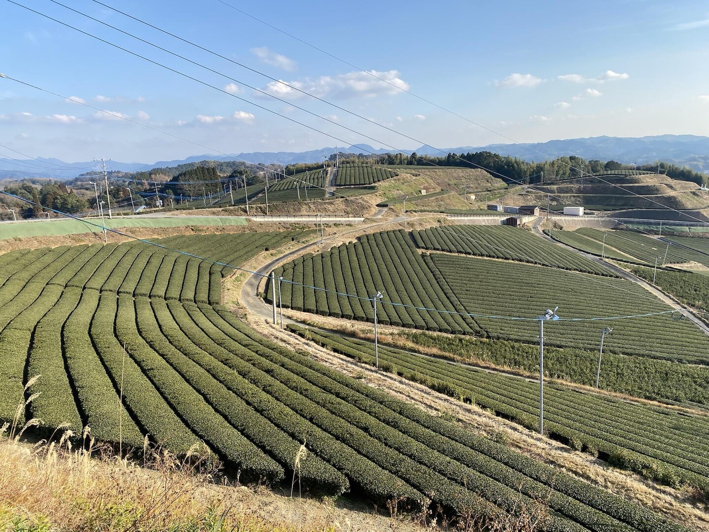 八女へ 今日は暖かく、絶好の登山日和。... / rebiさんのモーメント | YAMAP / ヤマップ