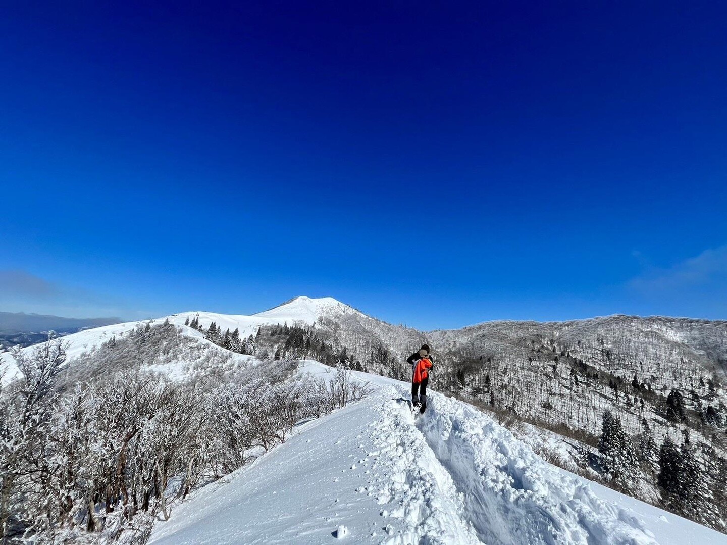 雪の武奈ヶ岳 / bu-koさんの比良山地・武奈ヶ岳・釈迦岳の活動データ | YAMAP / ヤマップ