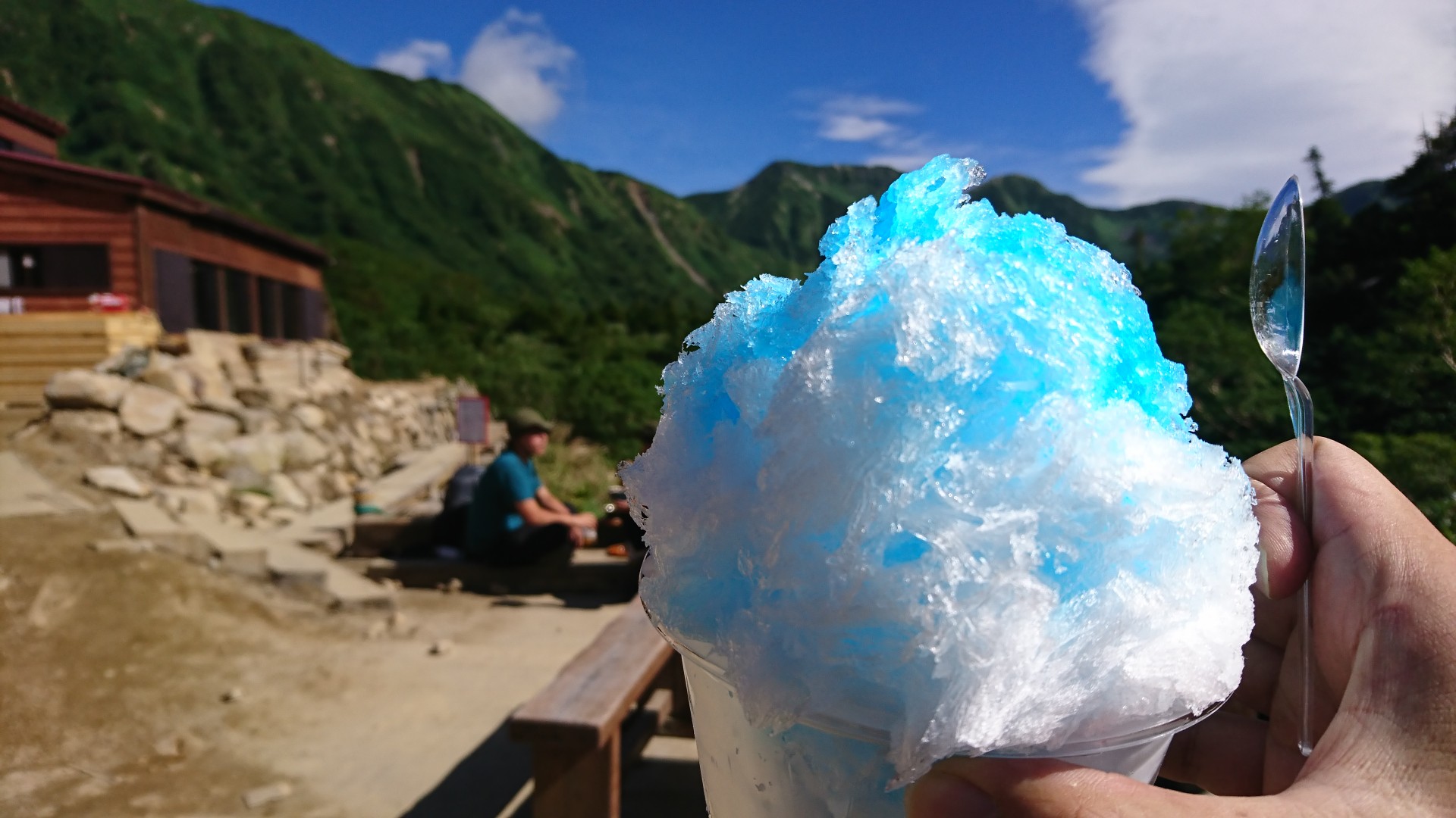 ゼブラダニオのページ | YAMAP / ヤマップ