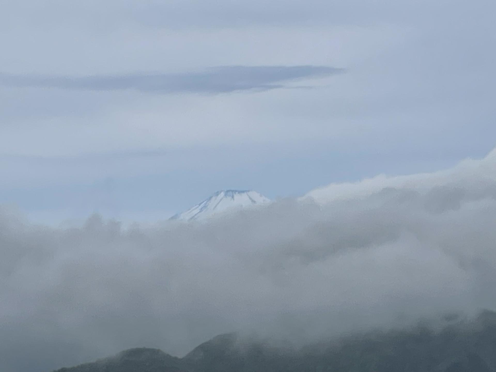 ヤビツ峠から春嶽山・大山を経て日向薬師 / s06007さんの大山の活動日記 | YAMAP / ヤマップ