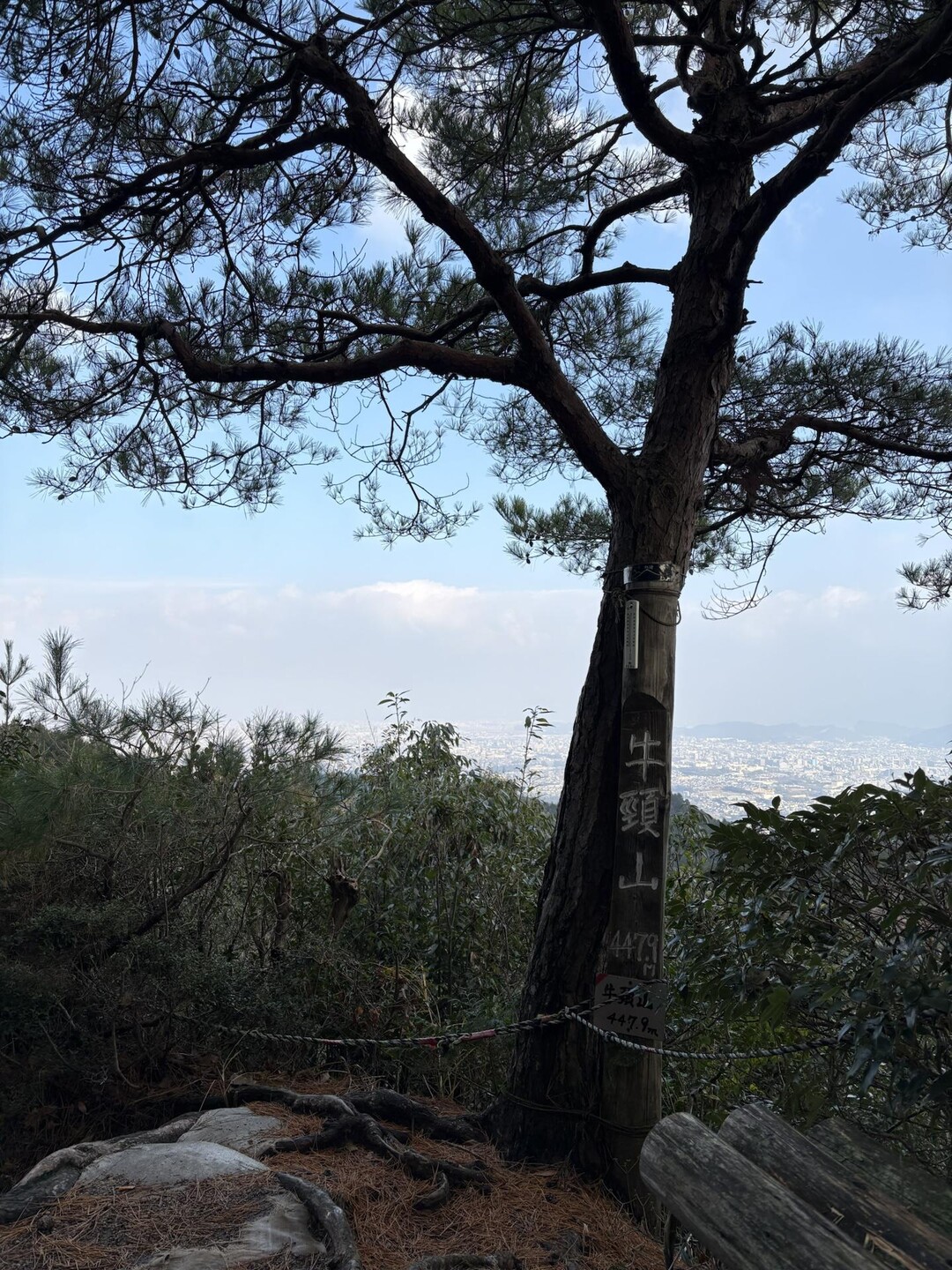 2024年…ラスト😅… / yasさんの牛頸山・黒金山・観音山の活動データ | YAMAP / ヤマップ