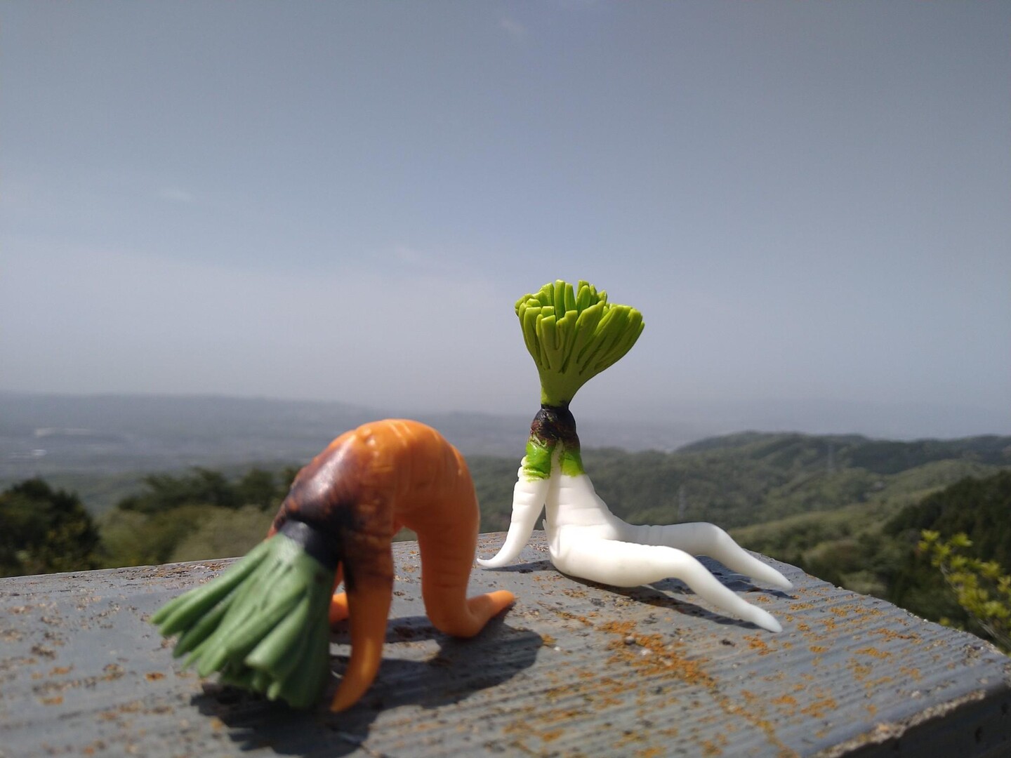 三上山↑JR加茂駅↓JR棚倉駅 / お魚さんの登山の活動データ | YAMAP / ヤマップ