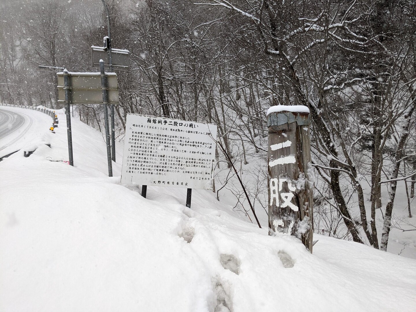 台場山 / Mommaさんの毛無山の活動データ | YAMAP / ヤマップ