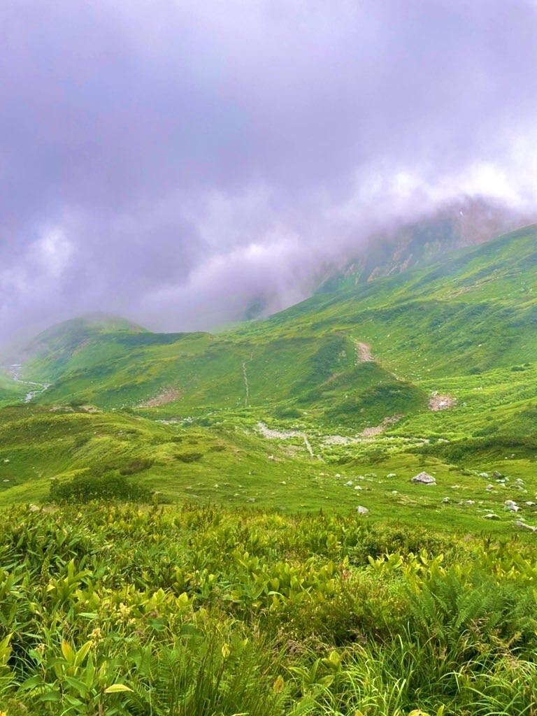 家族で立山 悪天候だけど頑張った！ / mutsukoさんの立山・雄山・浄土山の活動データ | YAMAP / ヤマップ