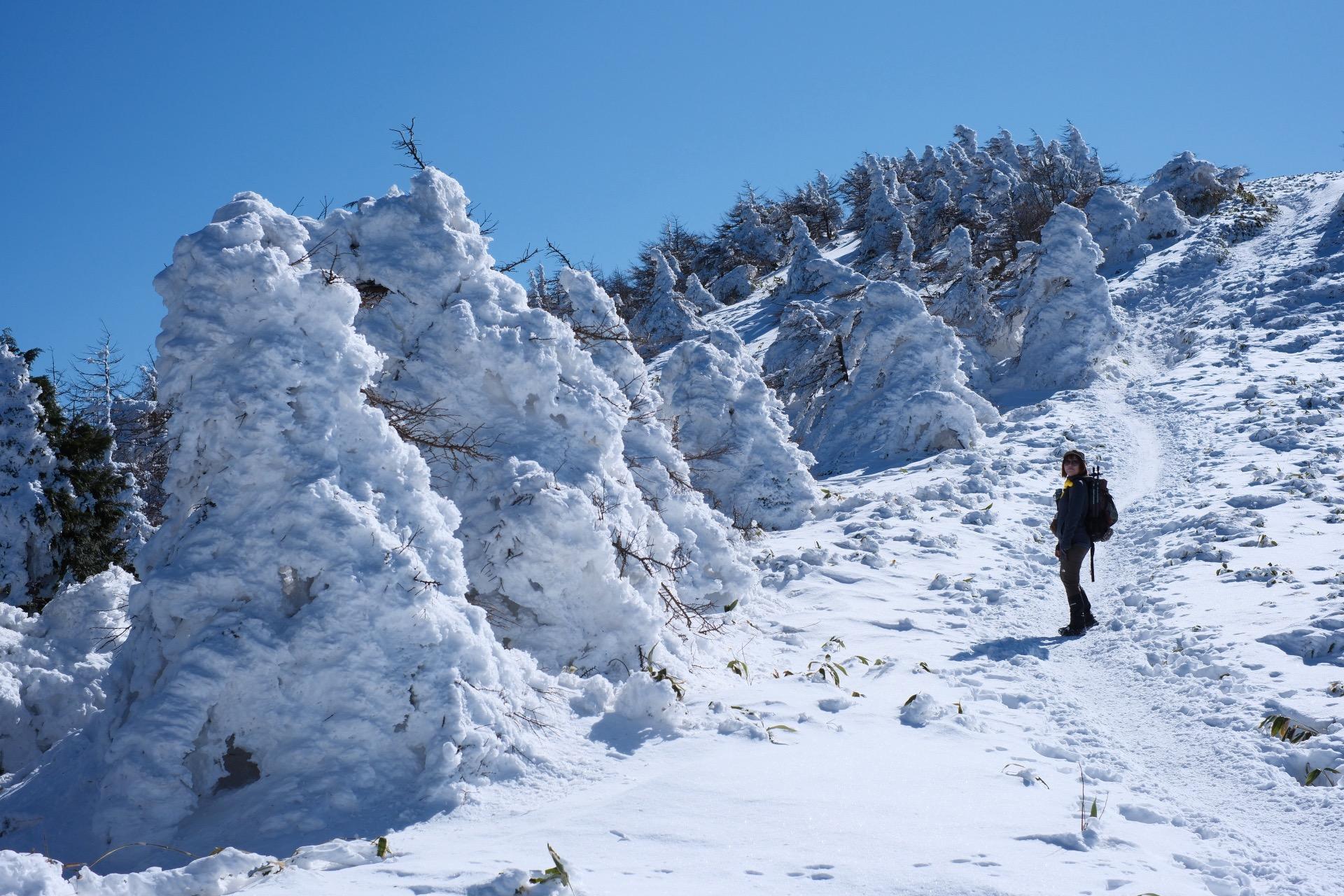 南沢山・横川山（湯舟沢山） / monさんの恵那山・大判山・神坂山の活動データ | YAMAP / ヤマップ