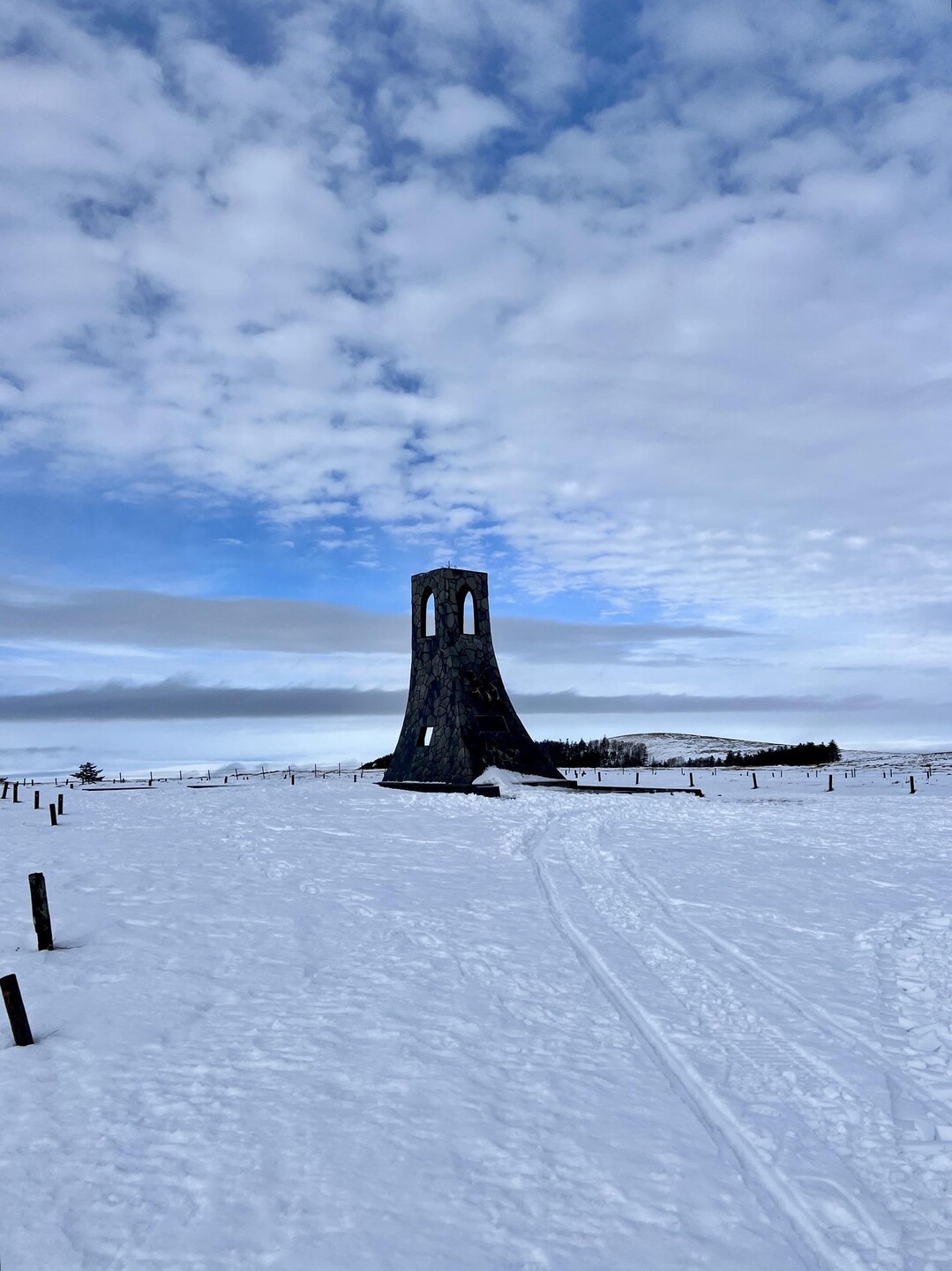 美ヶ原（王ヶ頭）スノーシューハイク / yuzuさんの霧ヶ峰・車山・大笹峰の活動データ | YAMAP / ヤマップ