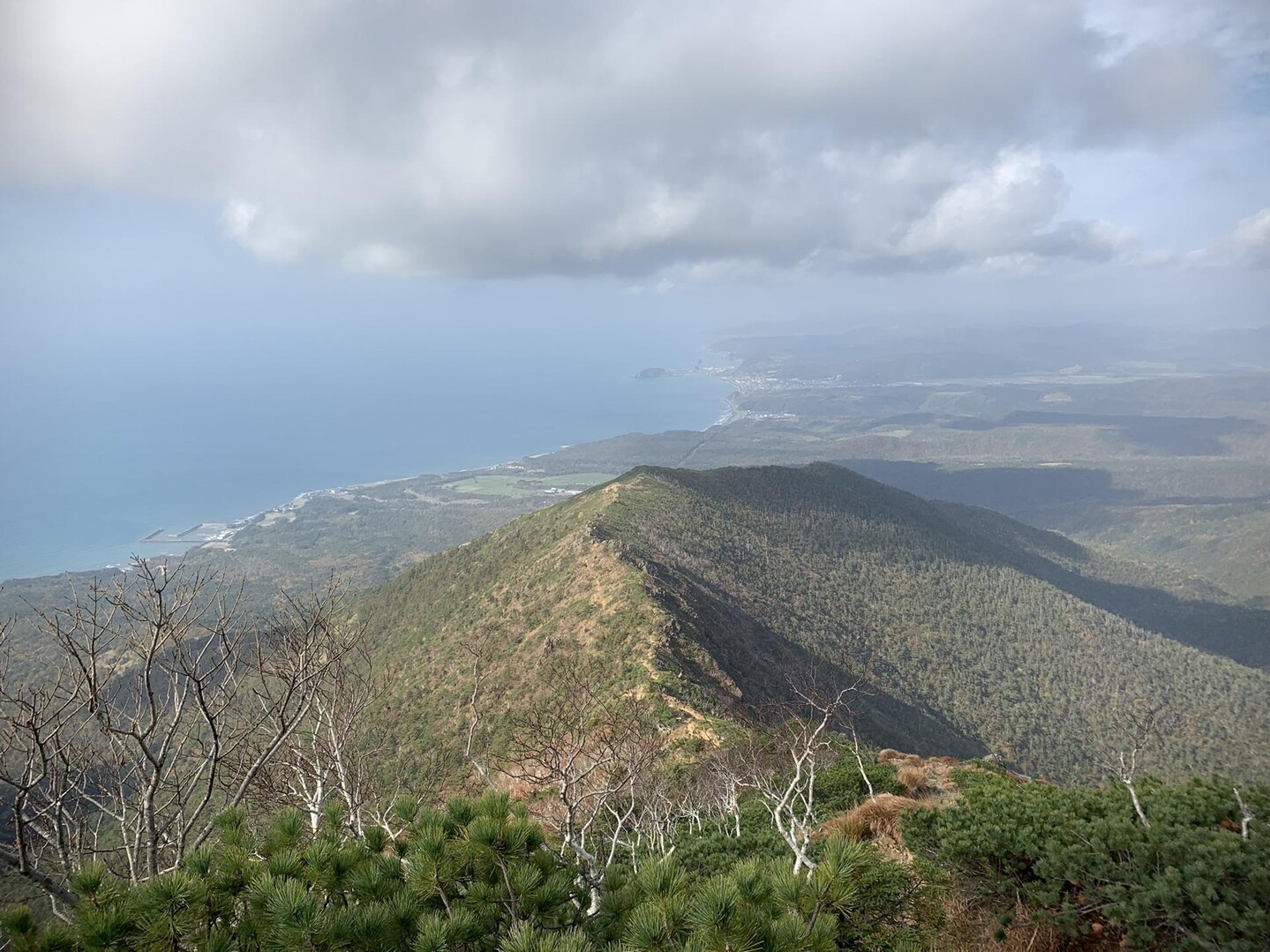 アポイ岳 / ni43さんのウォーキングの活動データ | YAMAP / ヤマップ